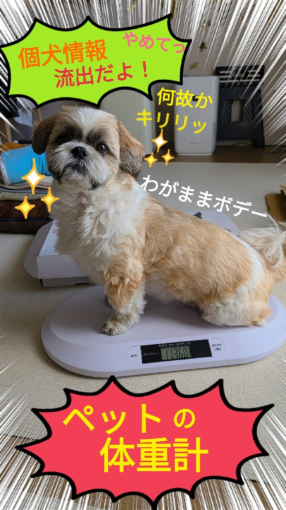 【MILASIC公式】ペット ペット用体重計 ペット体重計 デジタル体重計 ペット用品 犬 猫 うさぎ デジタル表示 子犬 小型犬 体重管理 健康管理 肥満対策 介護 スケール ペット用 ...