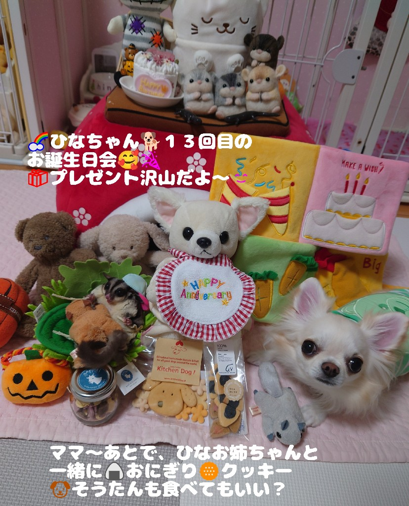 Bon・rupa ボンルパ ころりんおむすび 20g（69000165）