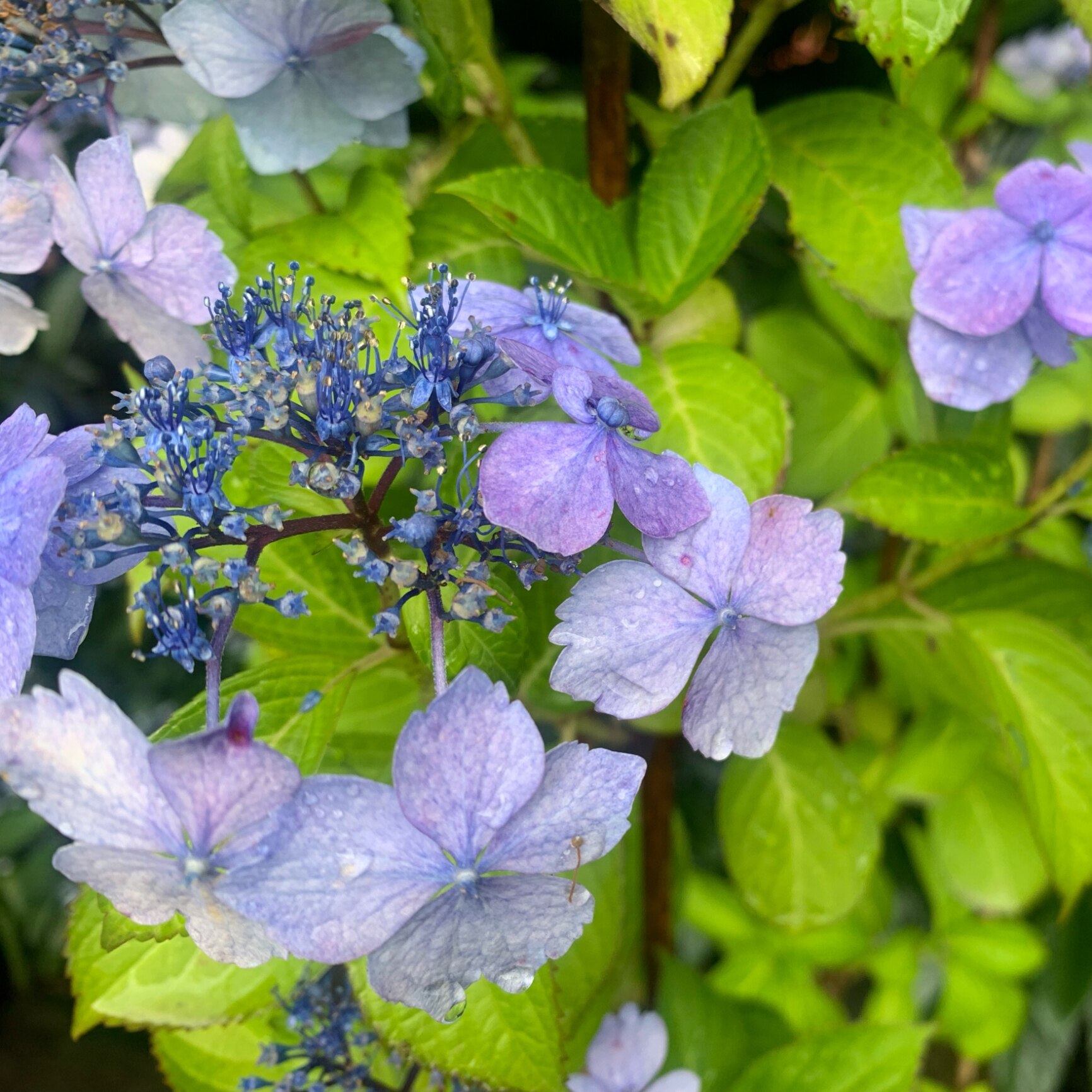 moco のROOM - 欲しい! に出会える。