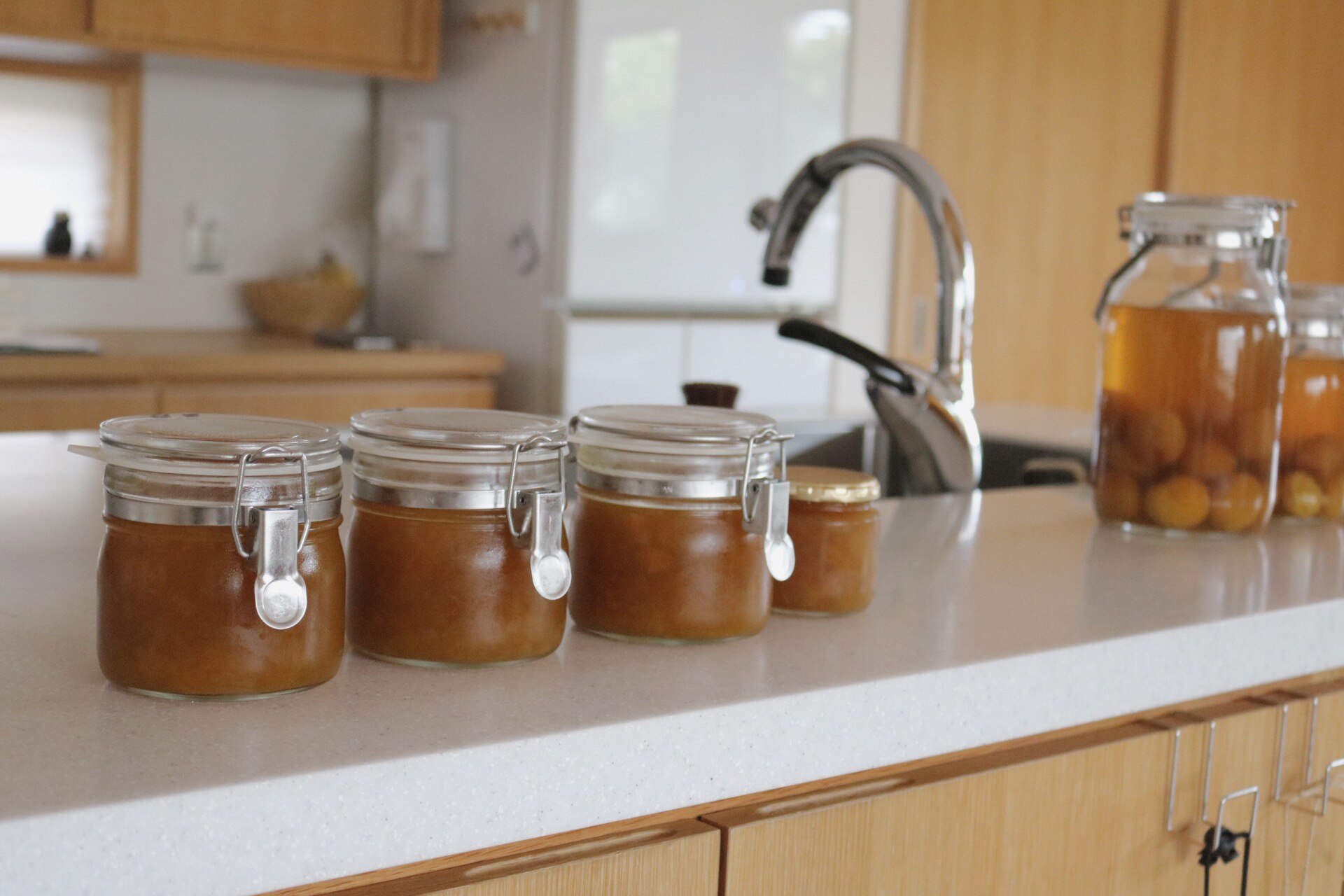 【当日出荷！営業日朝8時までのご注文分】Cellarmate（セラーメイト）密封びん（取手なし）0.5L #24 星硝