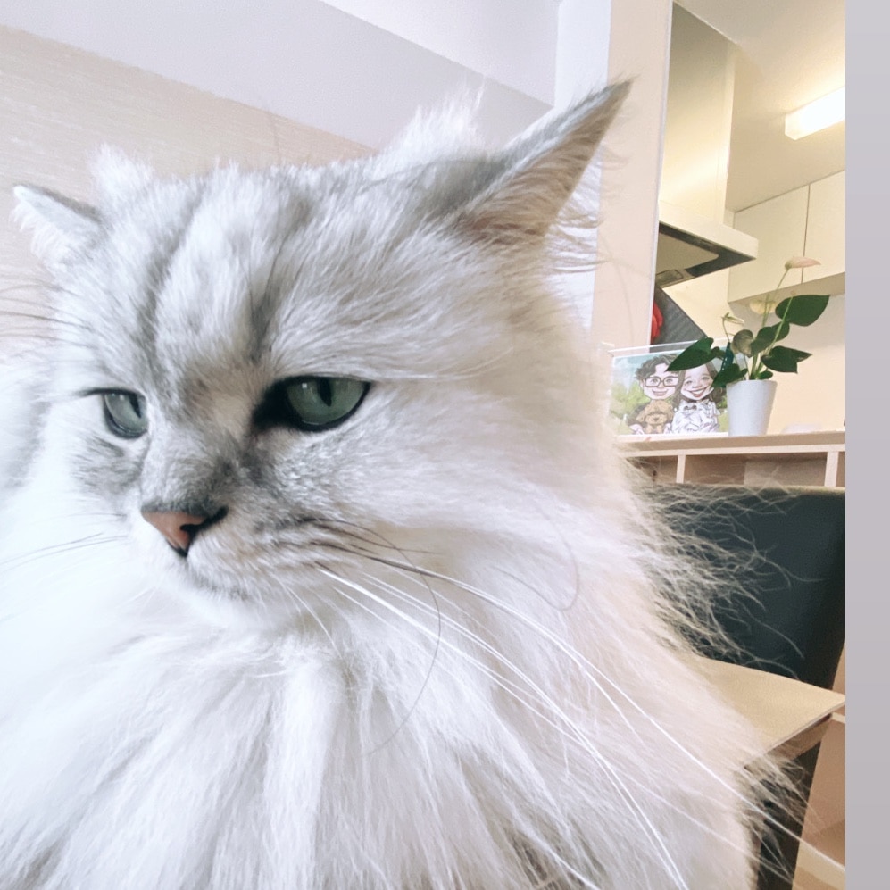 No.813 のROOM - 欲しい! に出会える。