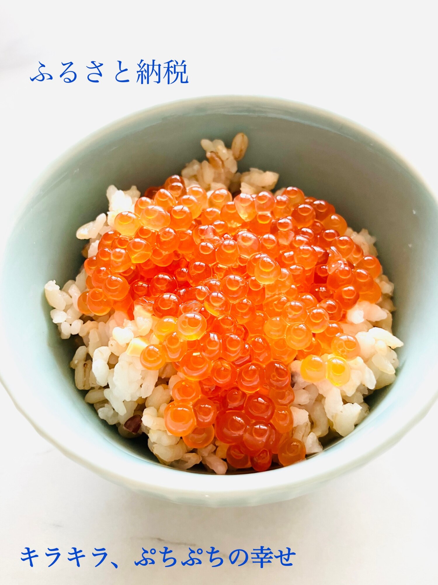 【ふるさと納税】いくら醤油漬(鮭卵) 選べる 70g(2P 4P 9P) 160g×2P 200g(1P 3P) 北海道 根室市 いくら イクラ 醤油 魚卵 鮭いくら 鮭 海鮮