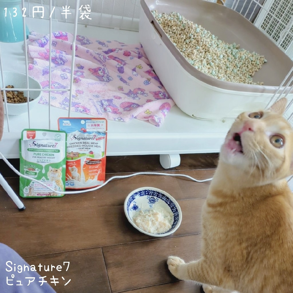 最短賞味2028.1・シグネチャー7 水 ピュアチキン パウチ 50g猫用総合栄養食Signature7正規品s7-l3/s786280