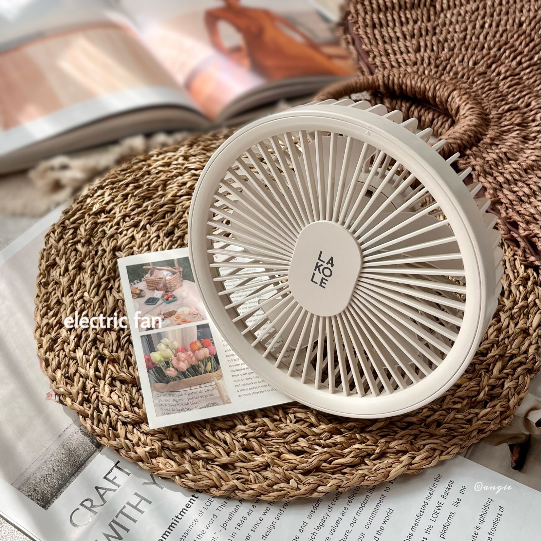 LAKOLE ＜LEDライト付き＞2WAYビックファン ラコレ インテリア・生活雑貨 扇風機・空気清浄機・加湿器