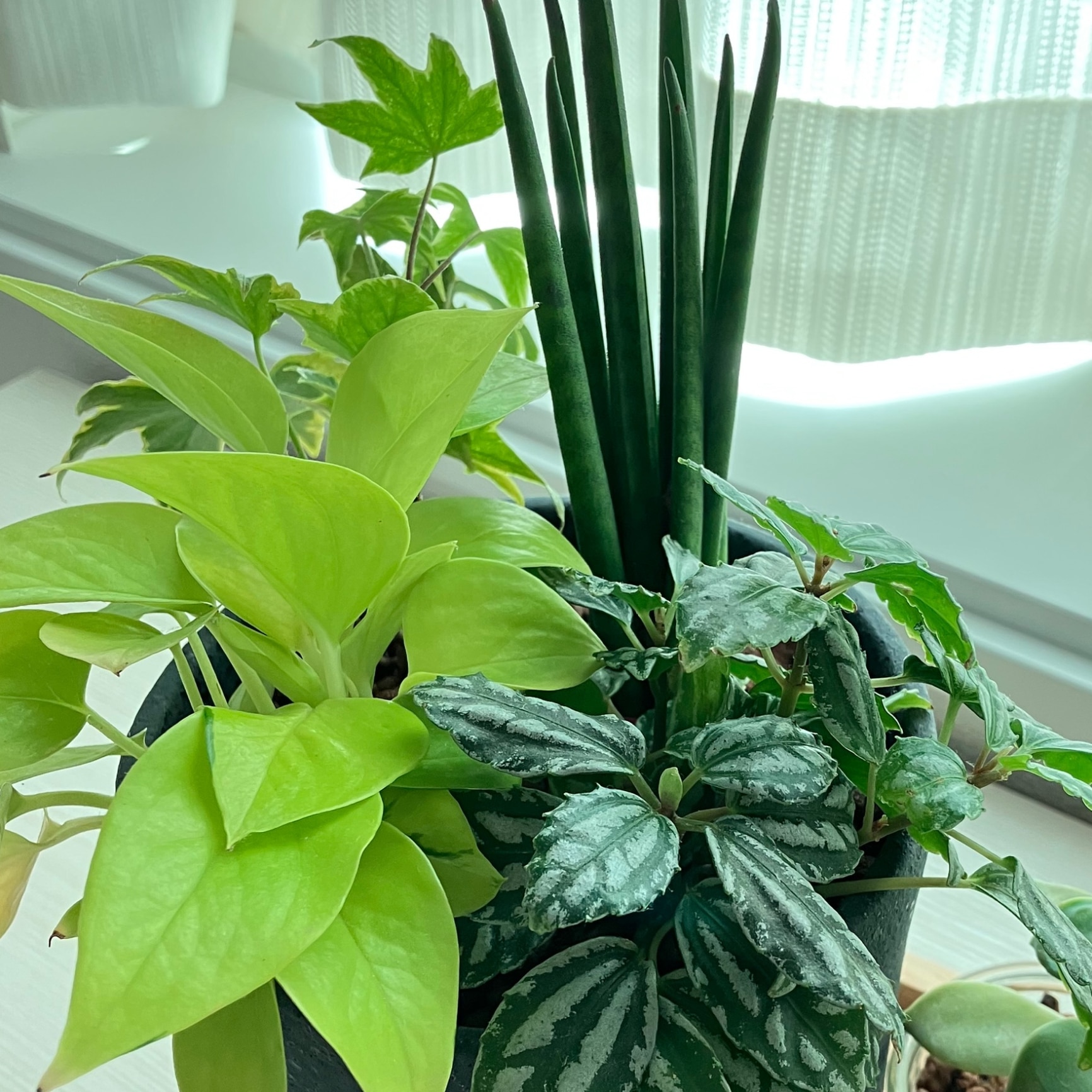 Mari.home のROOM - 欲しい! に出会える。