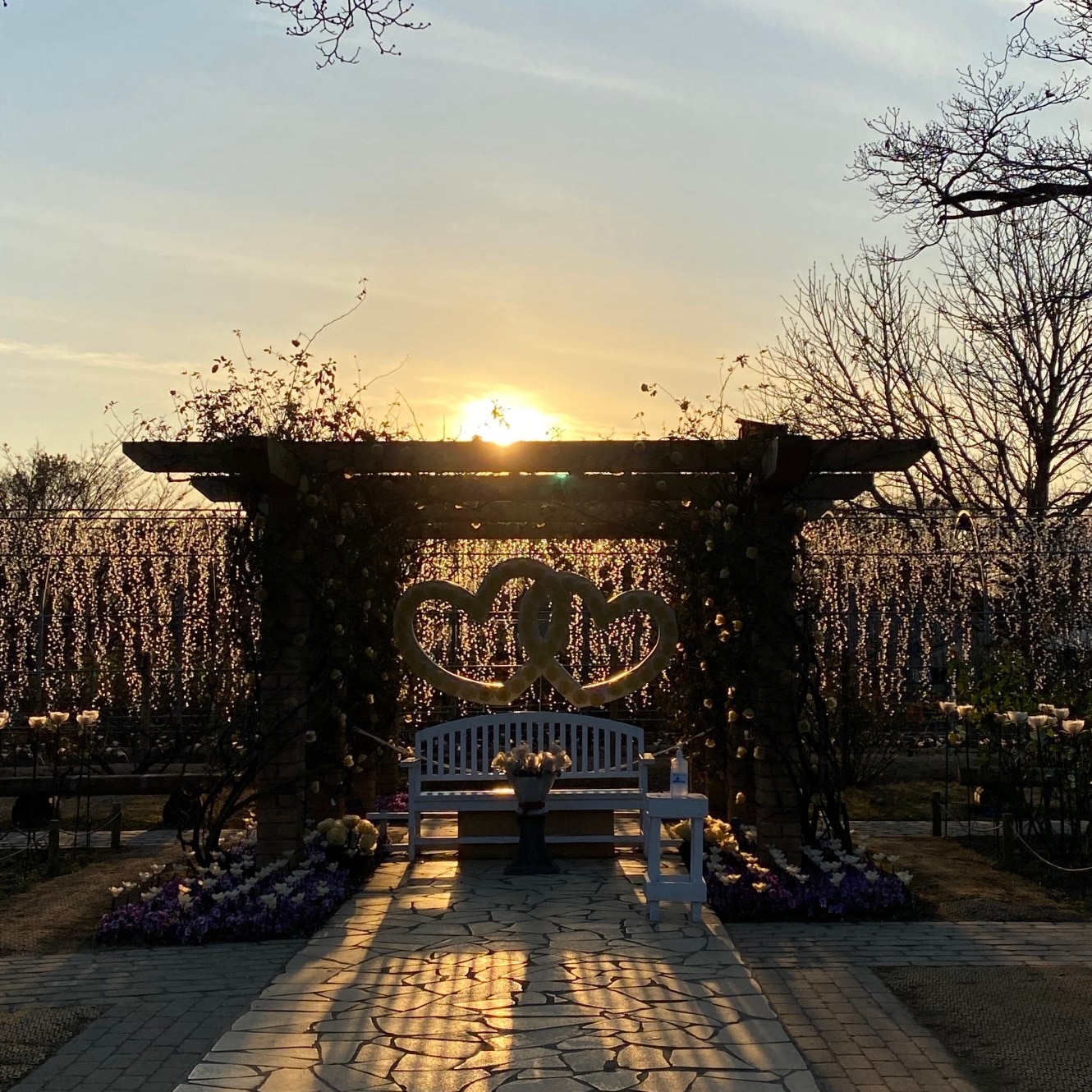 AYANO のROOM - 欲しい! に出会える。