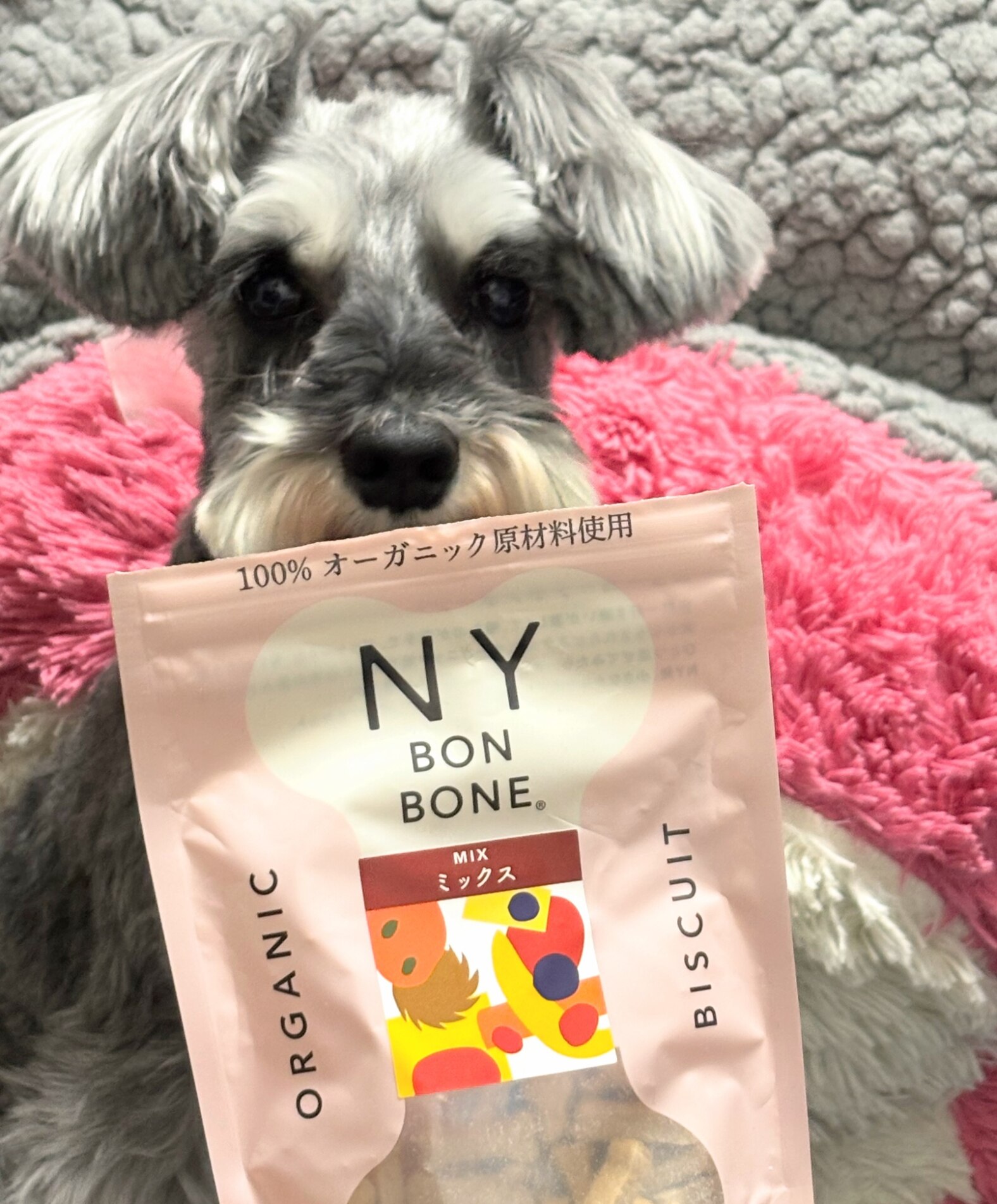 犬用 オーガニックおやつ NY BON BONE ニューヨークボンボーン 選べる3個セット（80g*3個） ビスケット トリーツ 犬 おやつ