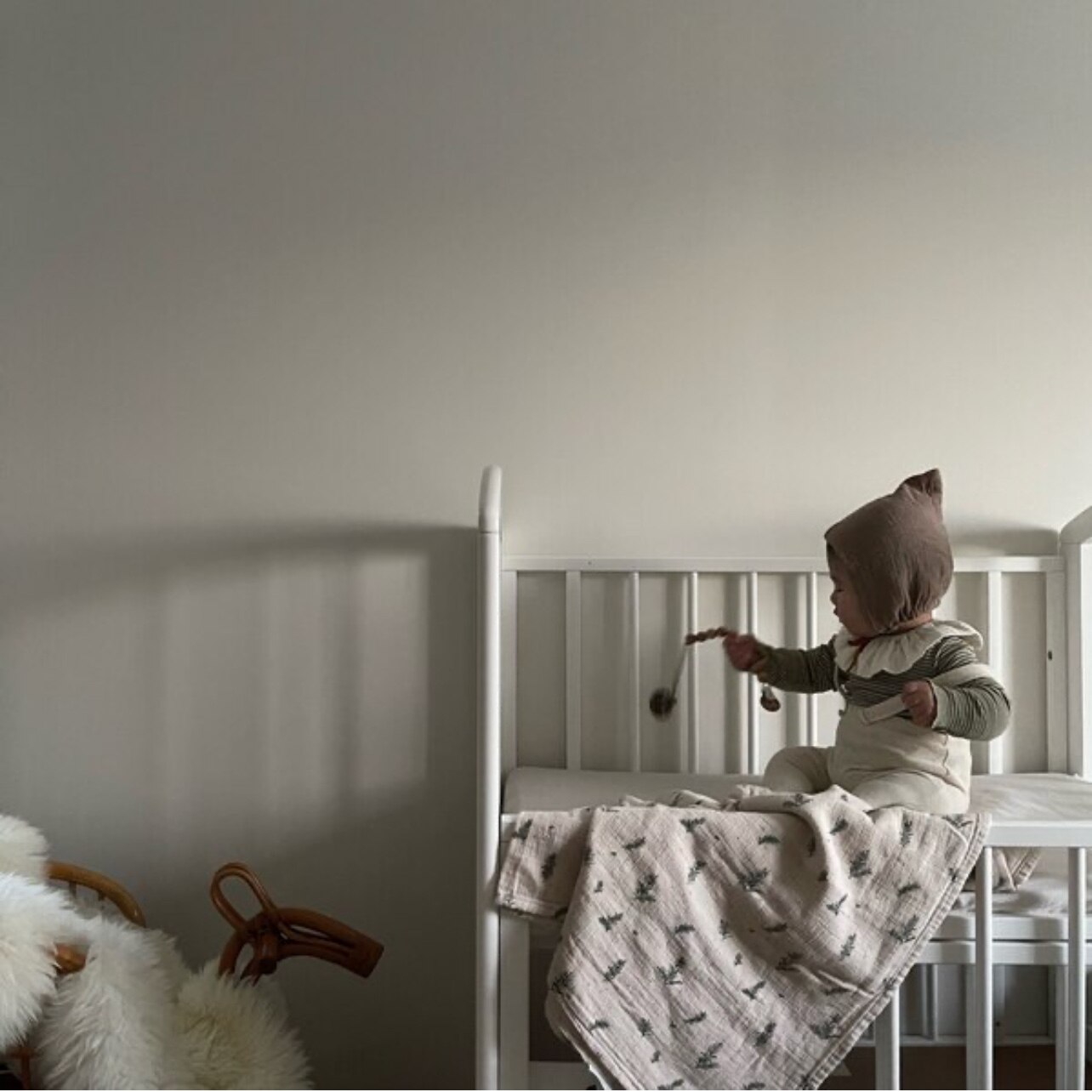 KATOJI ミニタチベッド パンジー ホワイト