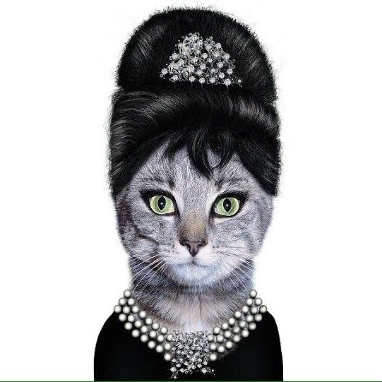 310-moco のROOM - 欲しい! に出会える。