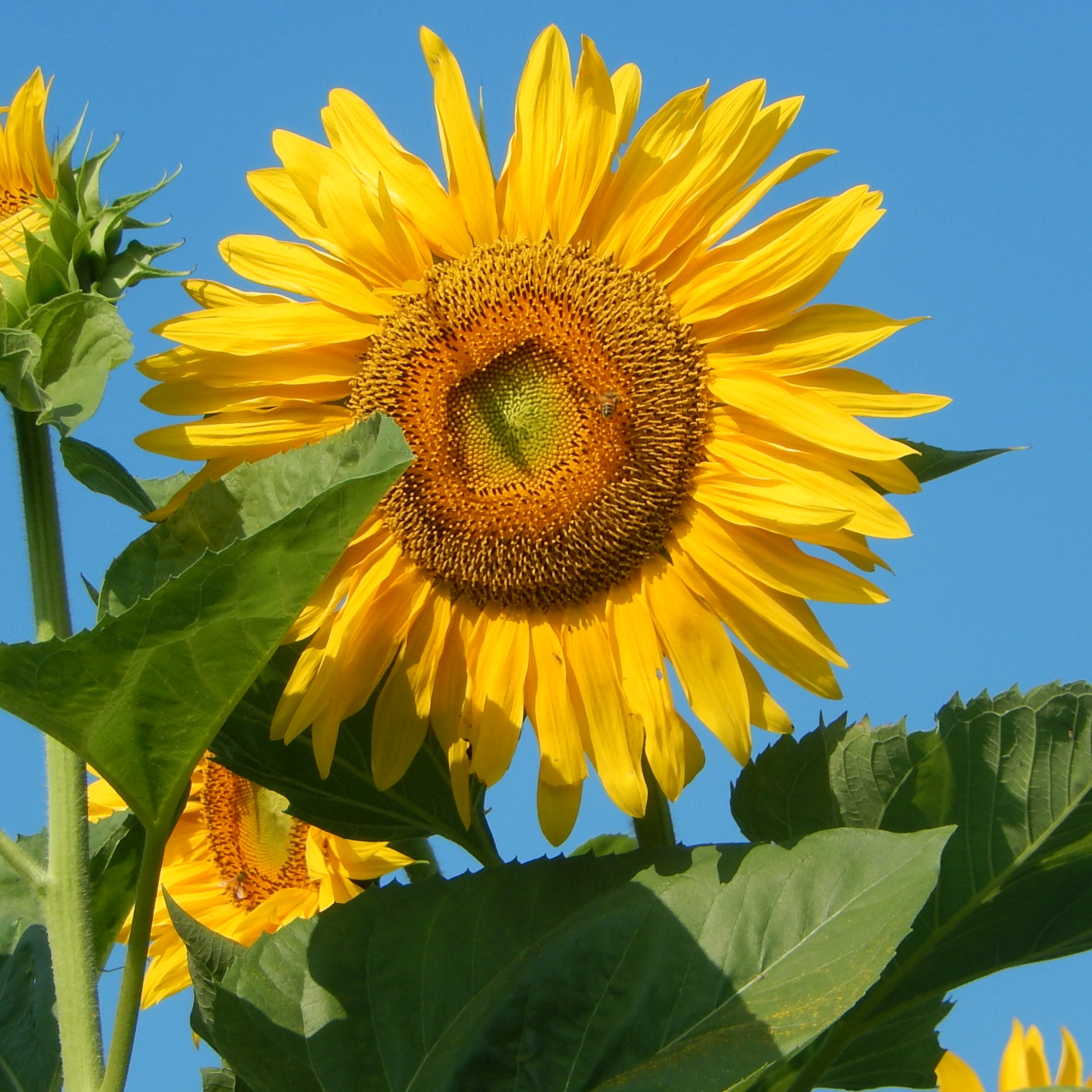 Emily_channel_5 のROOM - 欲しい! に出会える。