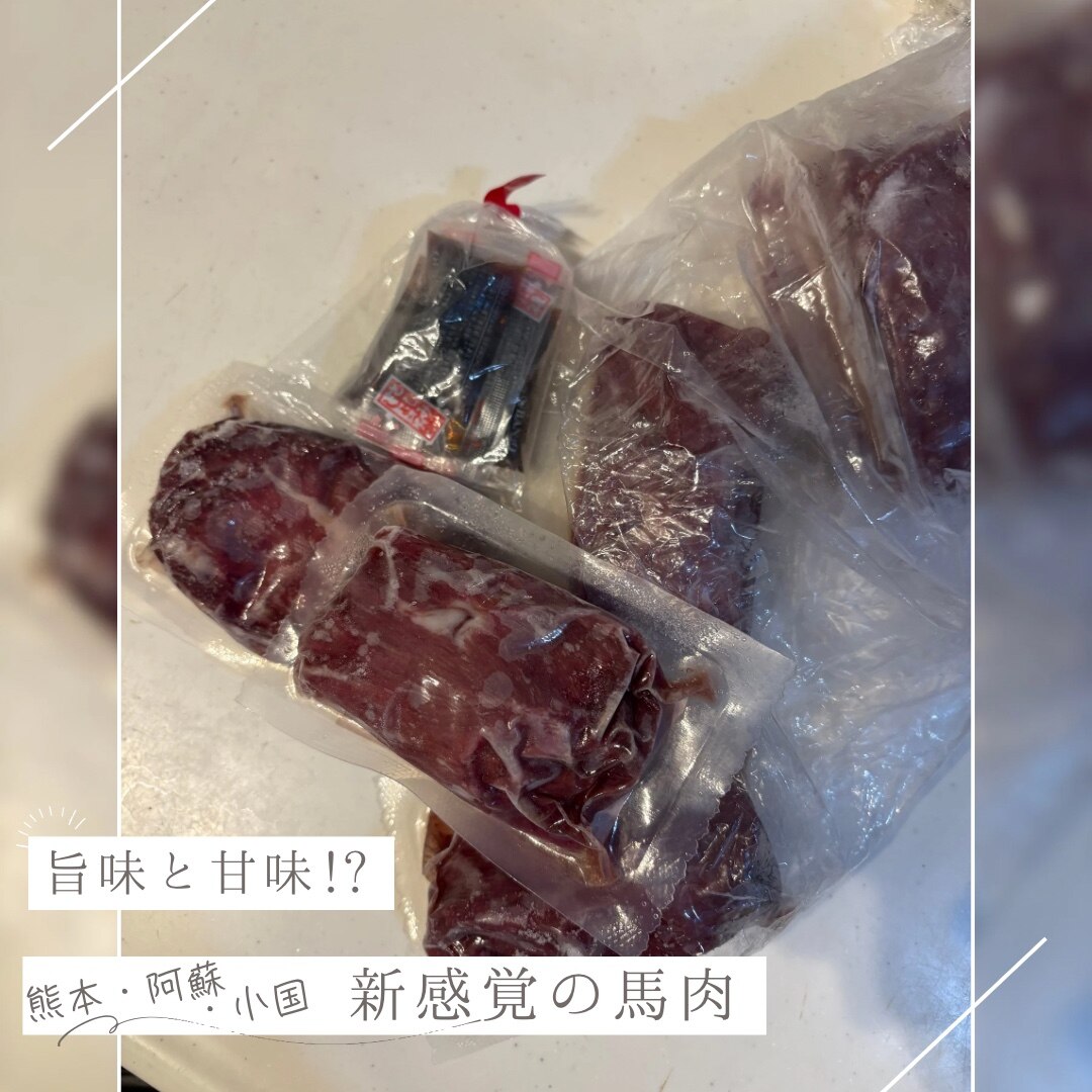 【ふるさと納税】選べる内容量 出荷月指定あり 馬肉 赤身 500g 700g 1kg 1.5kg 特許製法 氷温熟成 低温調理 加熱済 馬赤身 赤身肉 新感覚 レア 焼いたらもっと美味しい ...