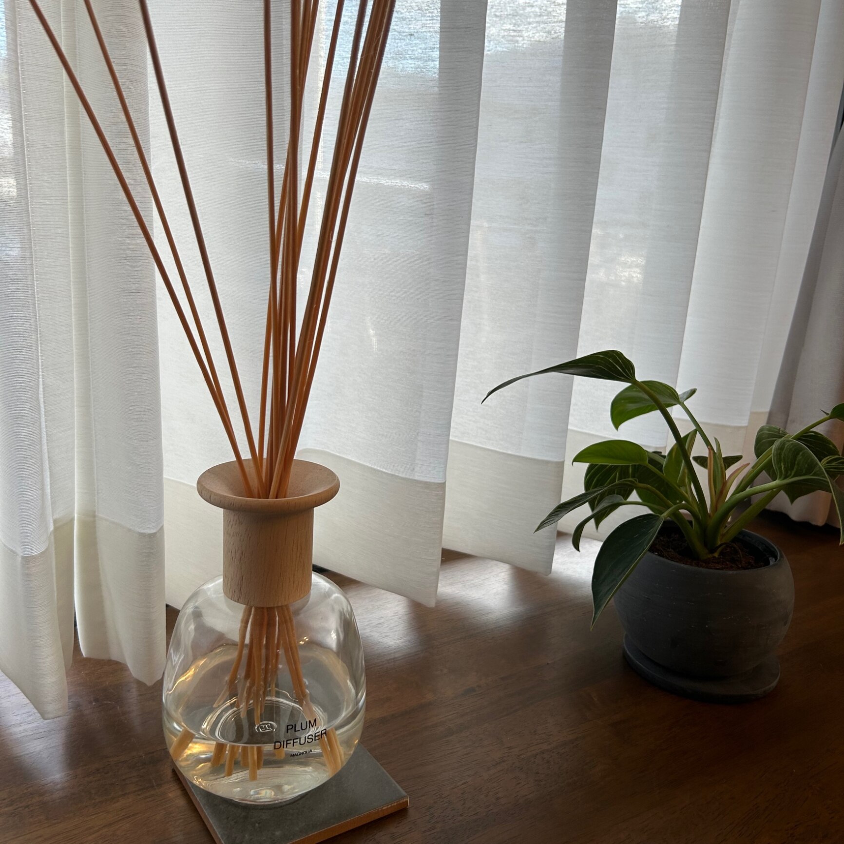 2/1ポイント5倍! プラム ディフューザー PLUM DIFFUSER 大容量 600ml ルームフレグランス アロマ ボトル 香り フルーツ ムスク マグノリア スティック インテリア ...