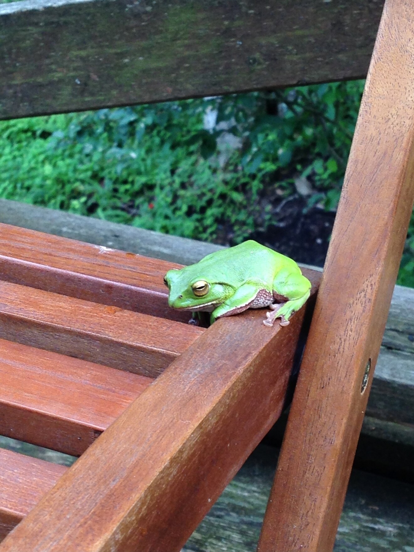 Rema のROOM - 欲しい! に出会える。