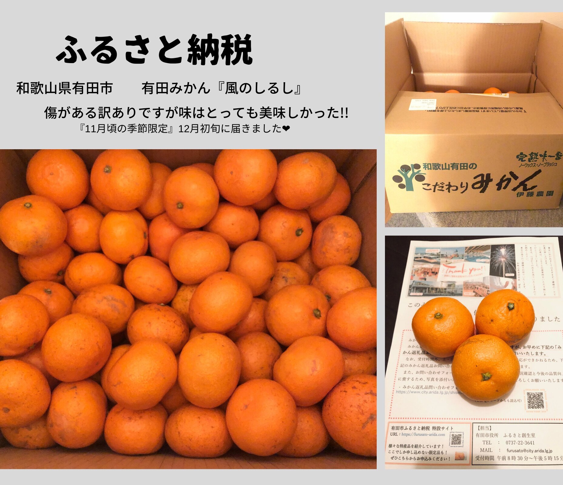 【ふるさと納税】有田みかん「風のしるし」訳あり 訳アリ 10kg（A241-1）送料無料 産地直送 ご自宅用 ご家庭用 フルーツ 果物 本場 和歌山 有田 有田市 ありだ みかん 甘い 濃厚 ...