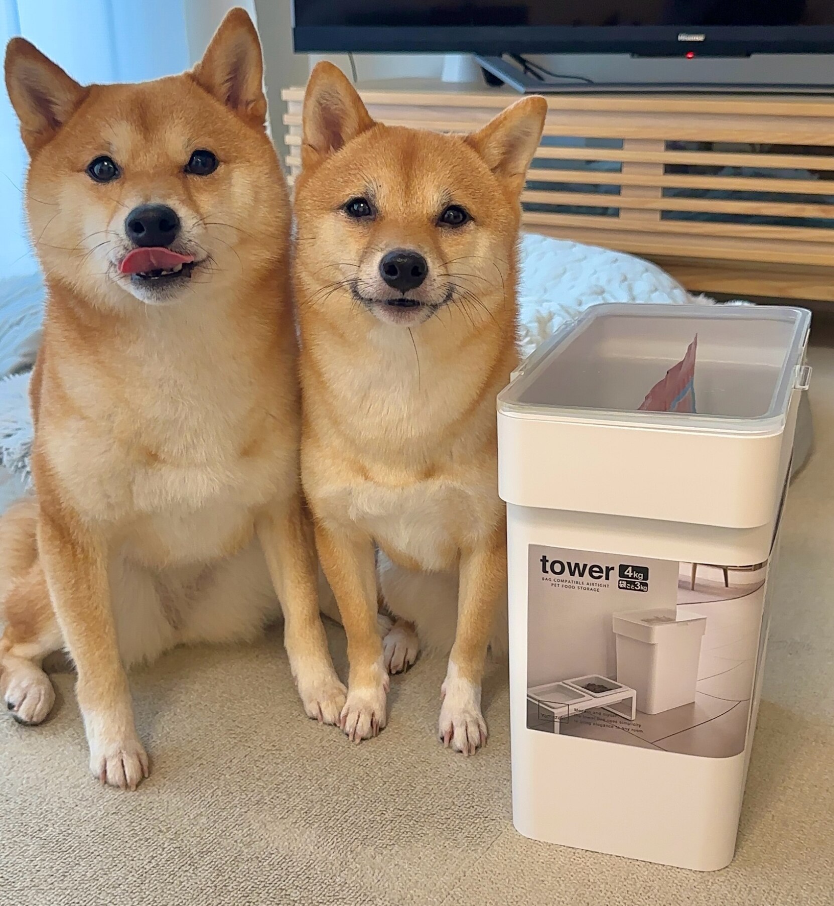 【365日出荷&当店限定特典付き】山崎実業 密閉袋ごとペットフードストッカー 3kg 計量カップ付 タワー tower 公式 キャットフード ドッグフード エサ入れ フードストッカー 4kg ...