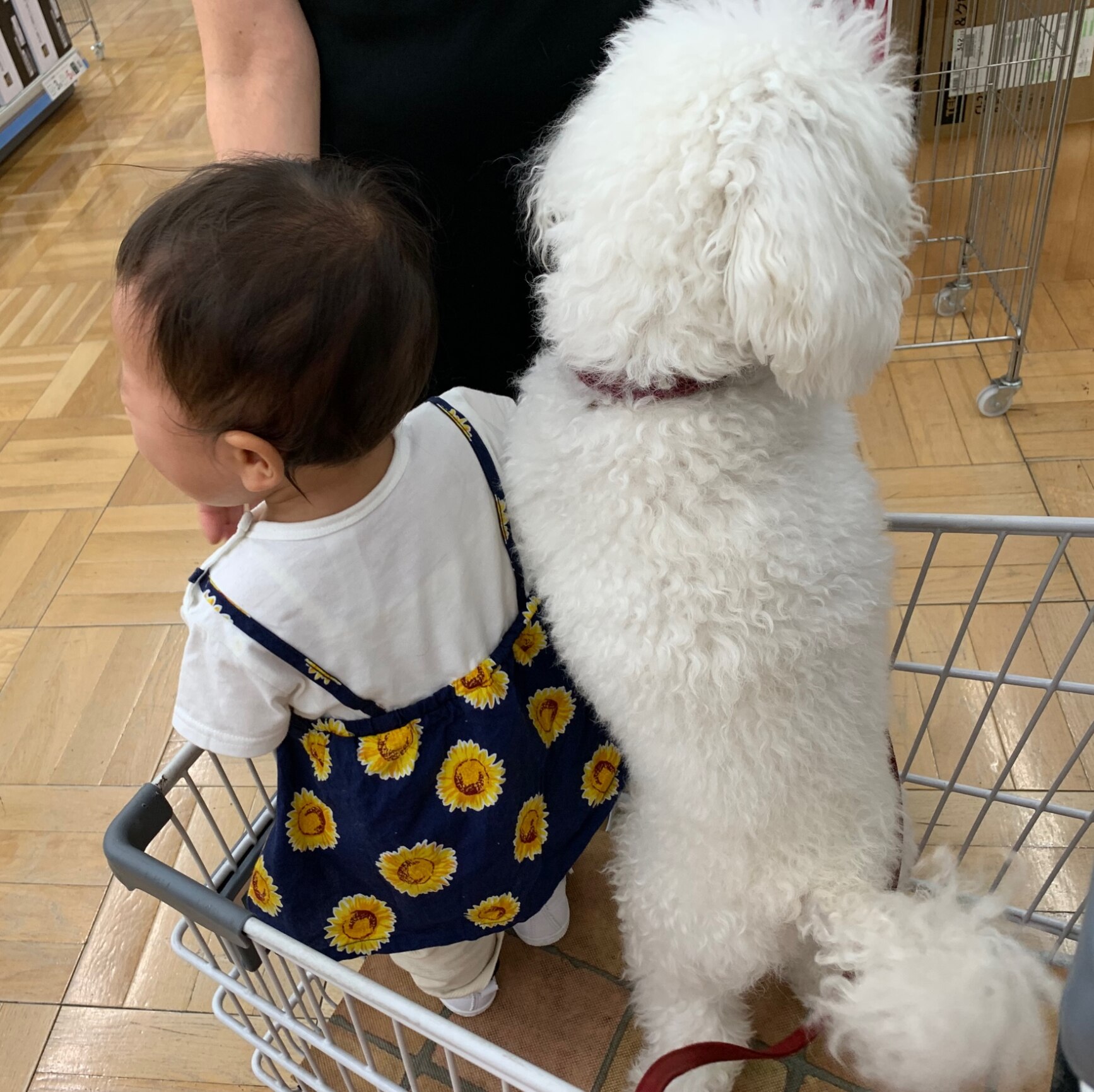 momo のROOM - 欲しい! に出会える。