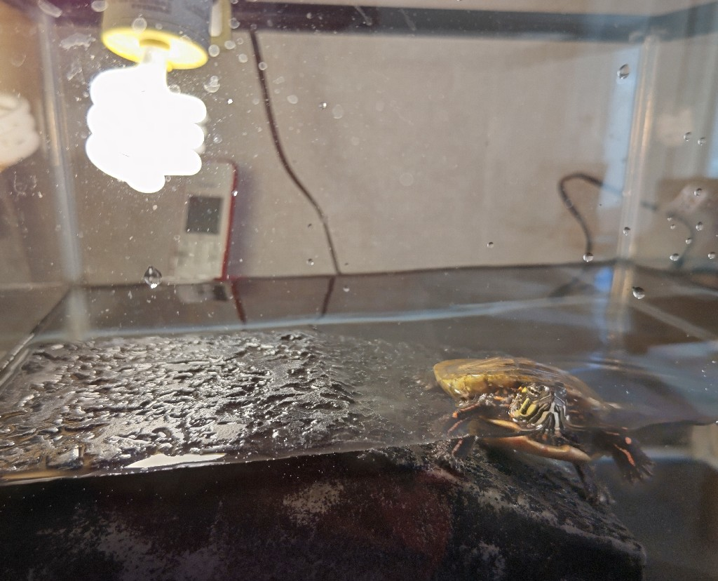 交換球 GEX エキゾテラ レプタイルUVB 150 26W 爬虫類 ライト 紫外線灯 UV灯 関東当日便