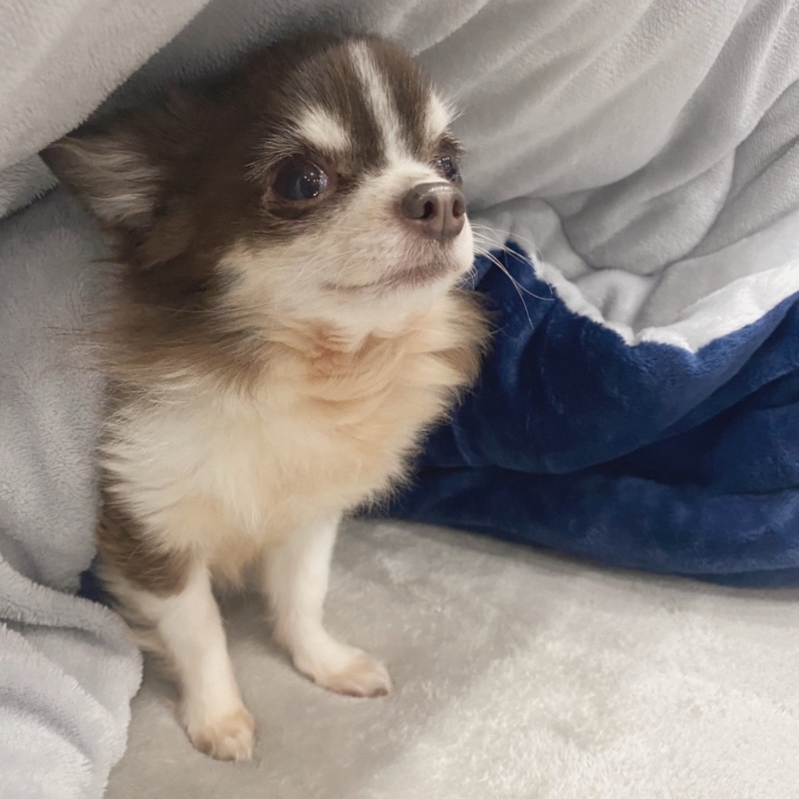 rara のROOM - 欲しい! に出会える。