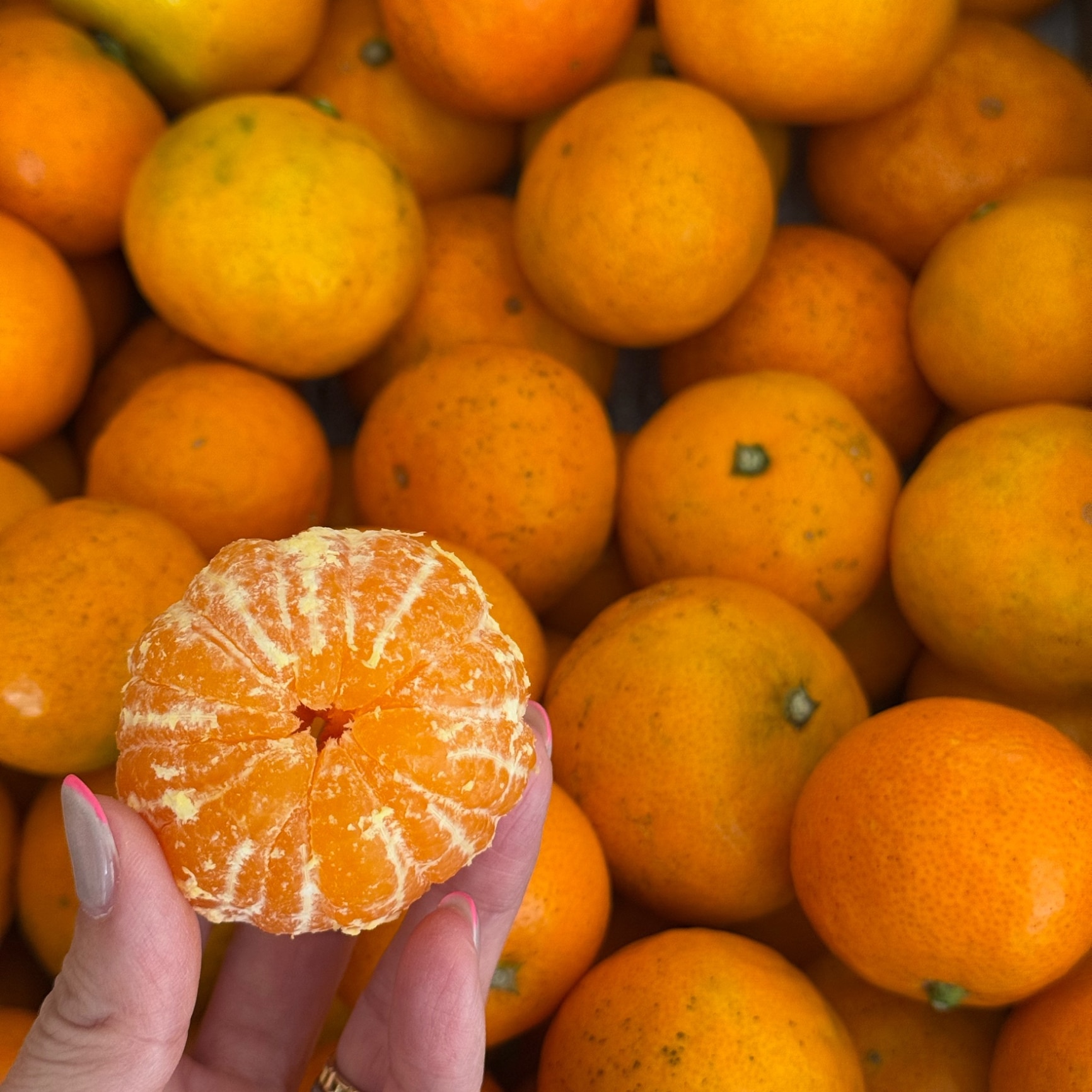 \緊急再入荷／ 【3セット購入で3kgオマケ！】 小玉 みかん 送料無料 訳あり ミカン 小粒 果物 小粒 熊本 1.5 kg 【 5 kg 以下( 5キロ・5k)】極早生 柑橘 九州 小玉 ...