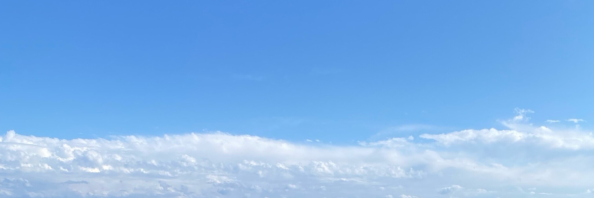 Maria のROOM - 欲しい! に出会える。