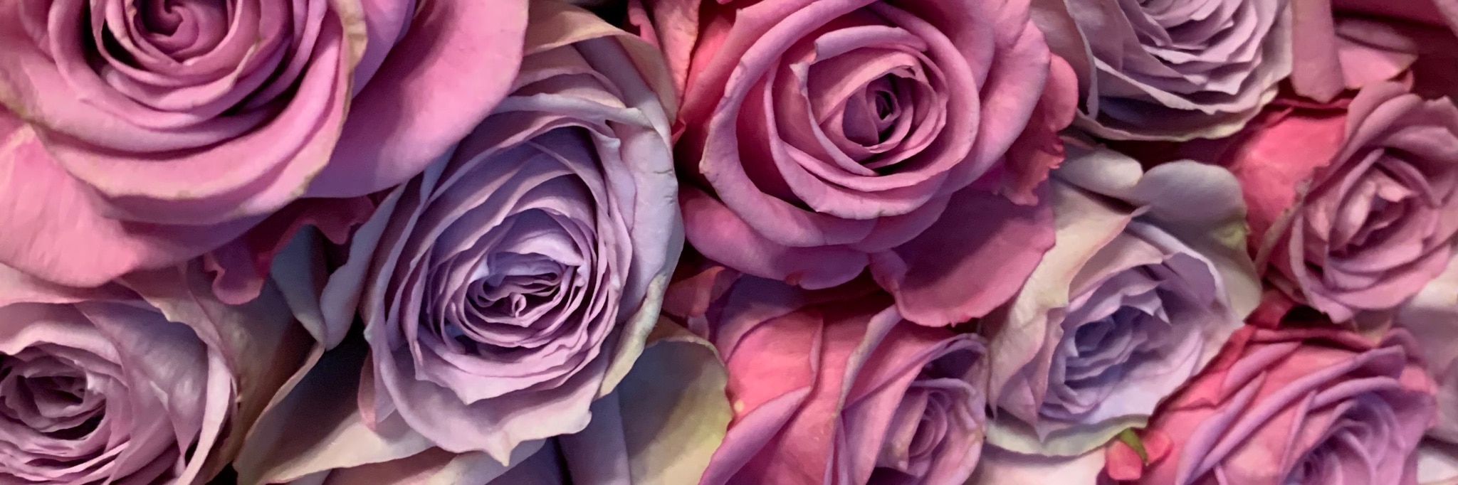 mayu いつもありがとうございます♡ のROOM - 欲しい! に出会える。