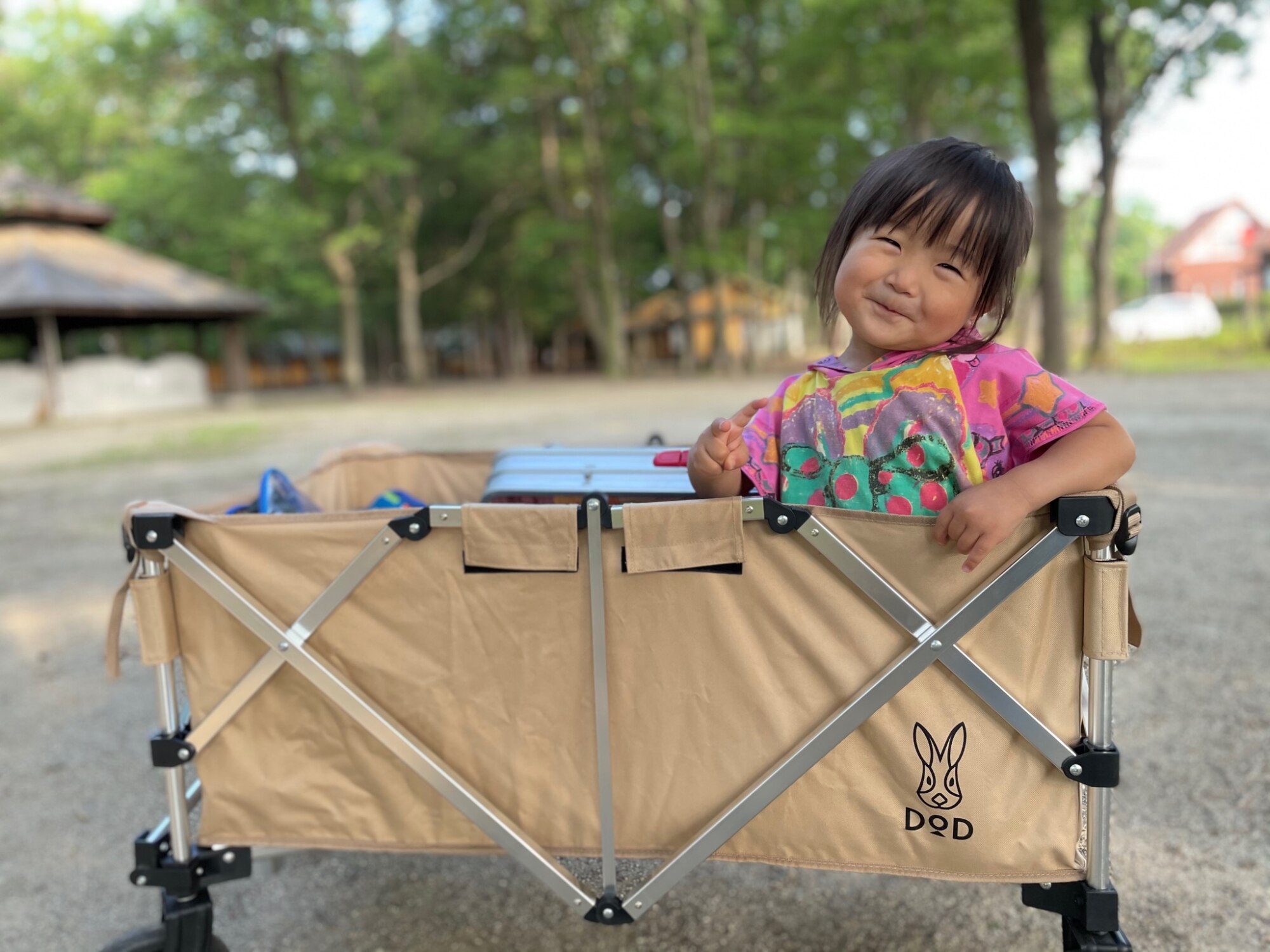 DOD キャリーワゴン アルミキャリーワゴン C2-534-TN dod アウトドア キャンプ アウトドアワゴン 100kg