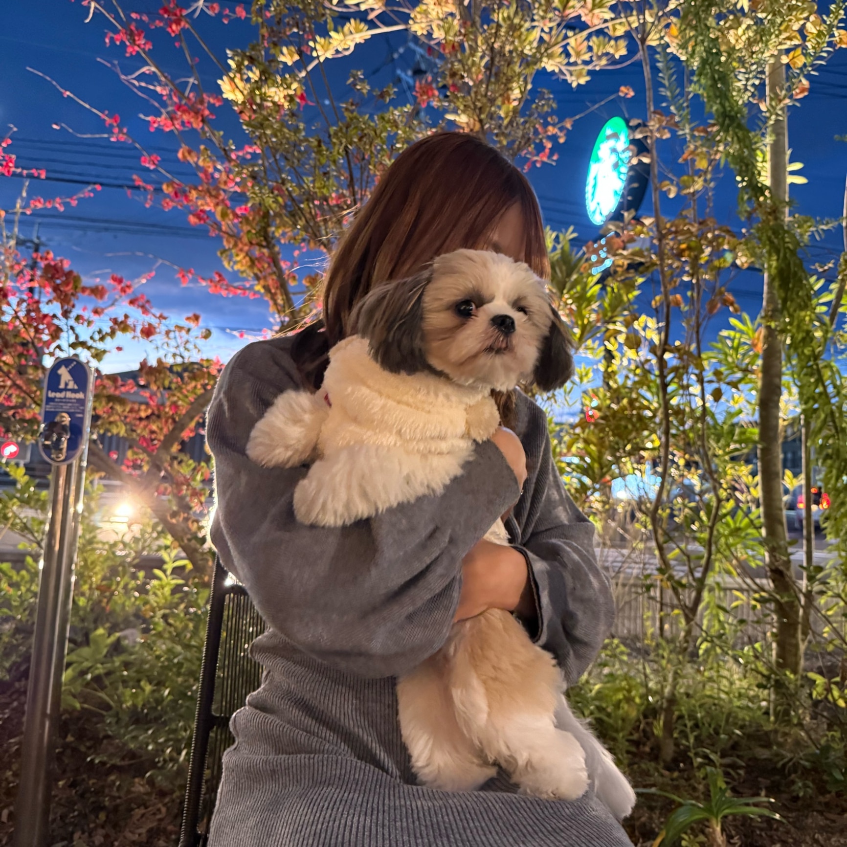 Lisa のROOM - 欲しい! に出会える。