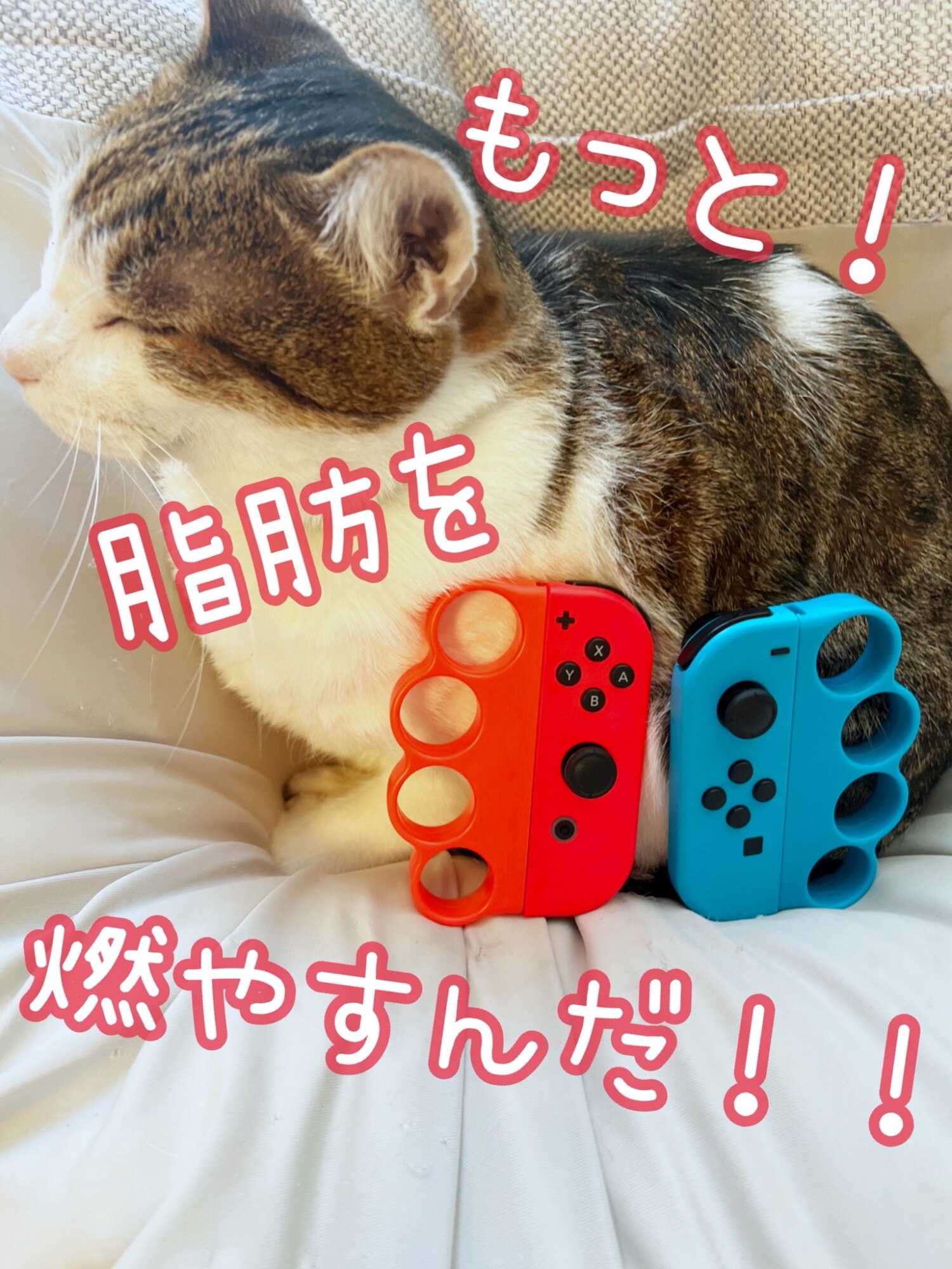 特価 選べる3色 2個セット Fit Boxing 対応 フィットボクシング2 30日安心保証 スイッチ コントローラー グリップ ハンドル ...