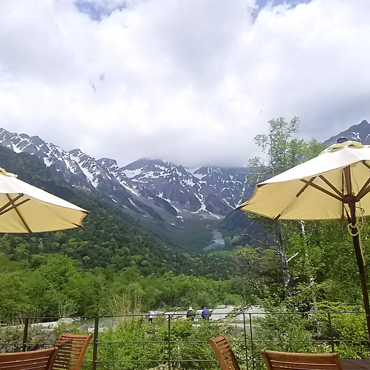 renge🪷感謝です のROOM - 欲しい! に出会える。