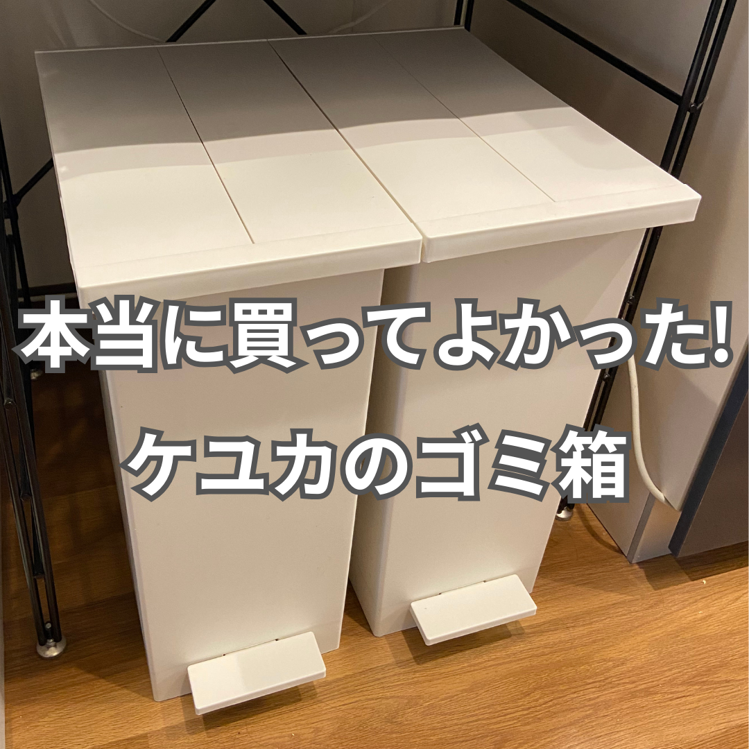 【KEYUCA公式店】ケユカ KEYUCA両開きダストボックス LL（42L）ゴミ箱 ホワイト ブラック[両開き ペダル式 キャスター付き ポケット インテリア 無地 シンプル おしゃれ 観音 ...