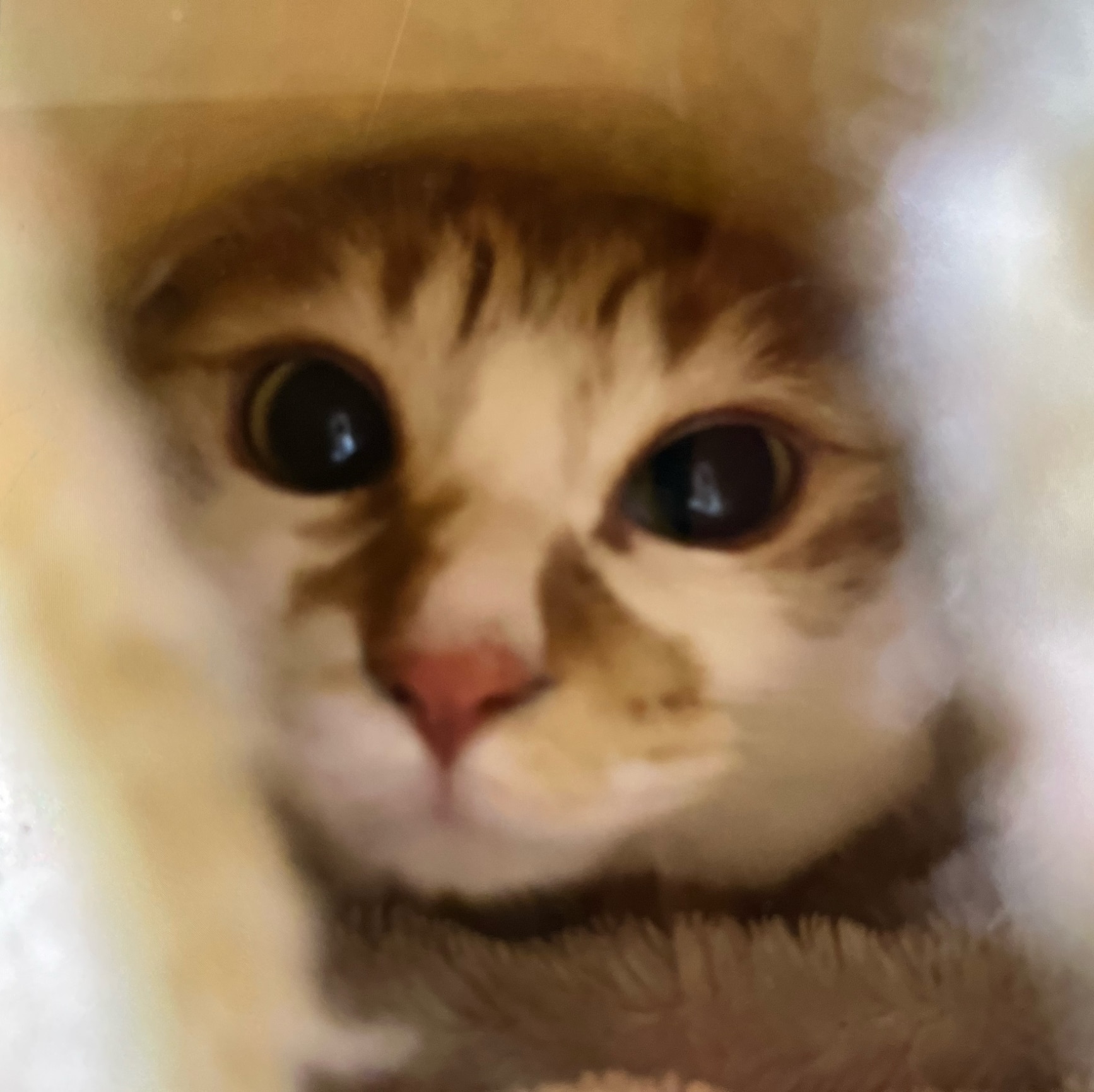 remiso🍀 のROOM - 欲しい! に出会える。