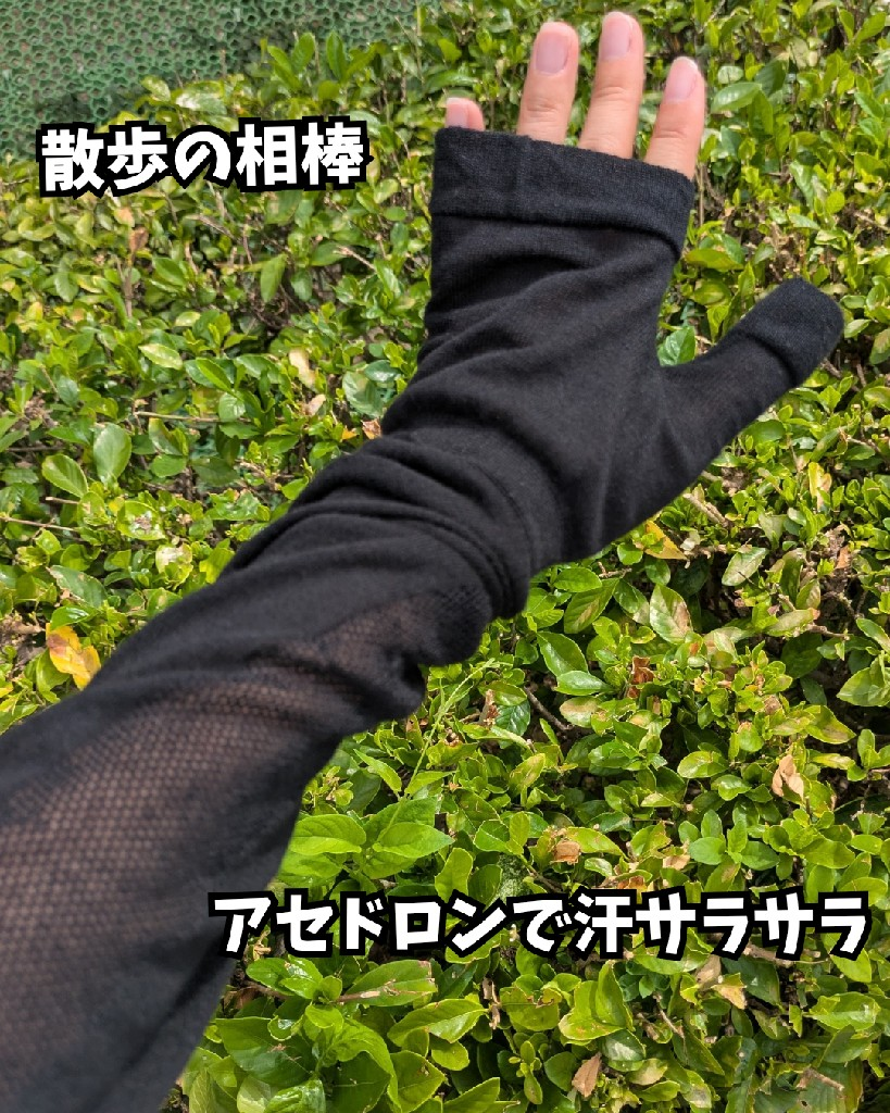 10％OFF【メール便(15)】 グンゼ アセドロン アームカバー 60cm丈 レディース GUNZE 吸放湿 全2色