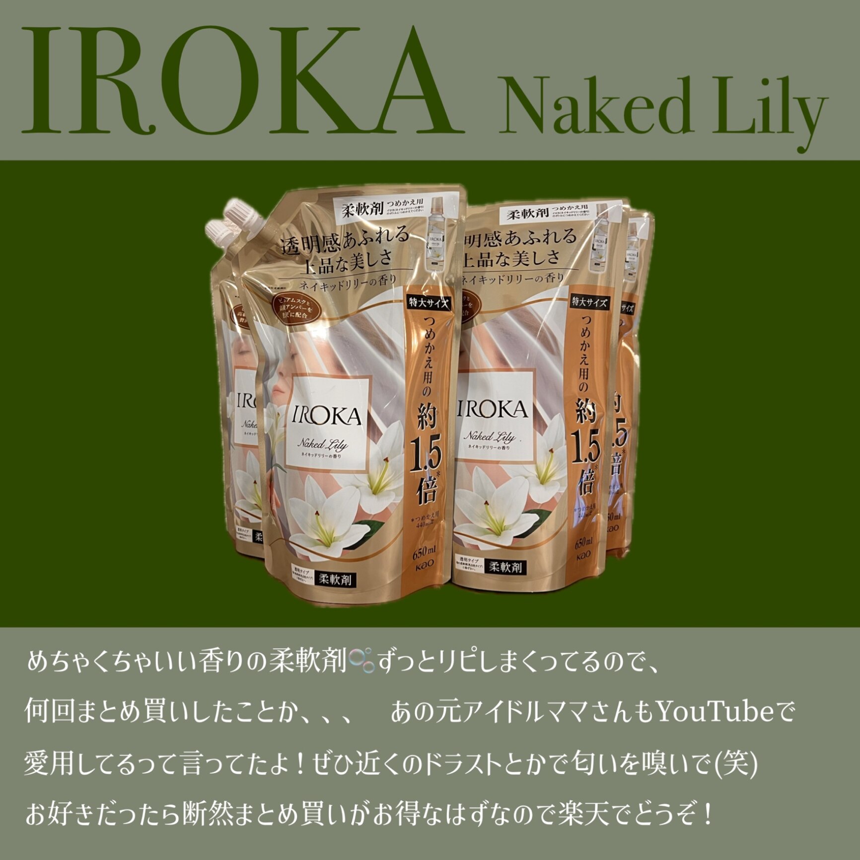 【1種類を選べる】フレア フレグランス IROKA 柔軟剤 詰め替え 大サイズ(650ml×5袋入)【フレアフレグランスIROKA】
