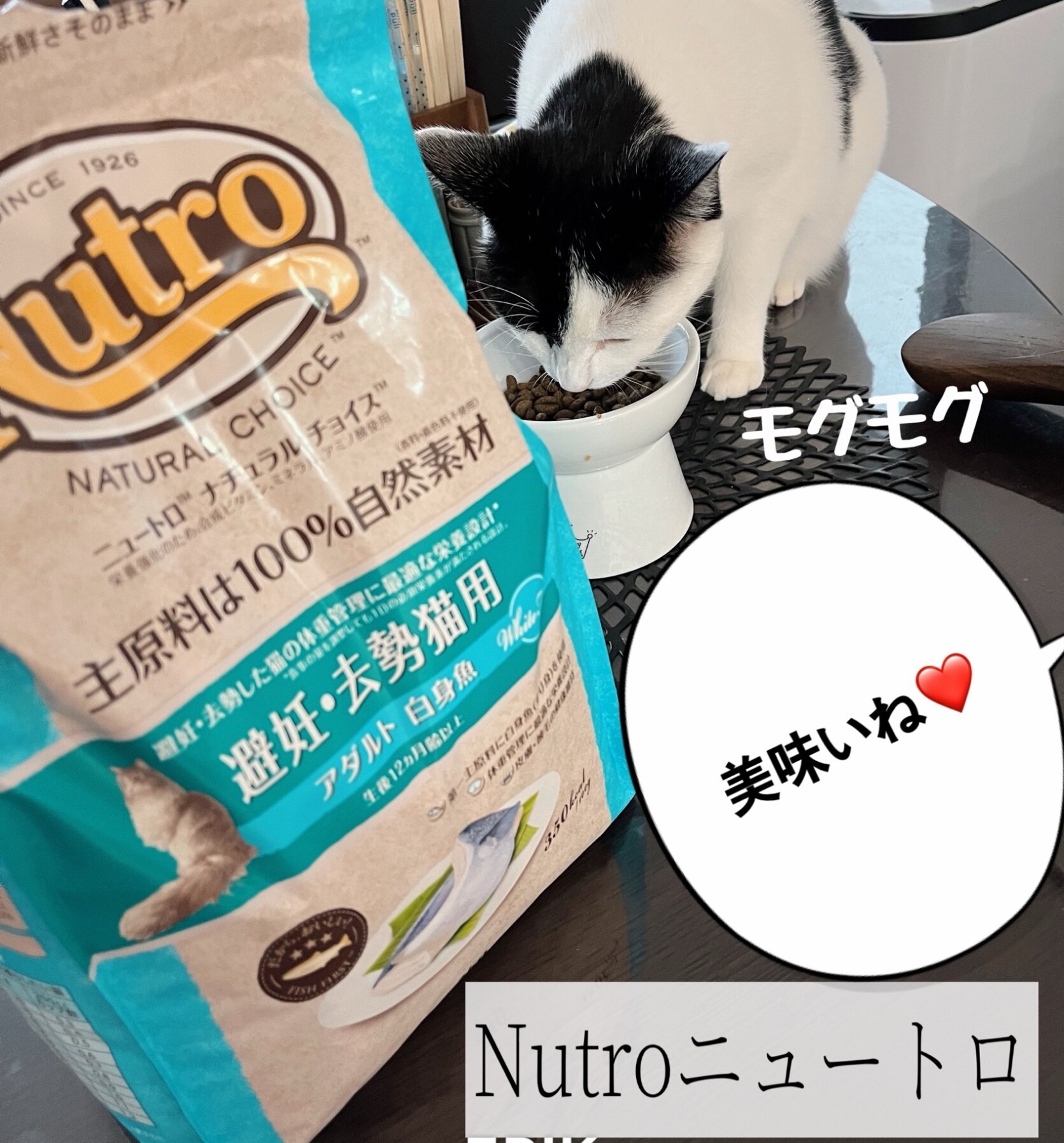 【2個以上購入で300円OFF！31日23:59迄】猫 ニュートロナチュラルチョイス 2kg 各種 [正規品]nutro 猫 フード キャットフード ドライ ペットフード アレルギーに配慮 ...