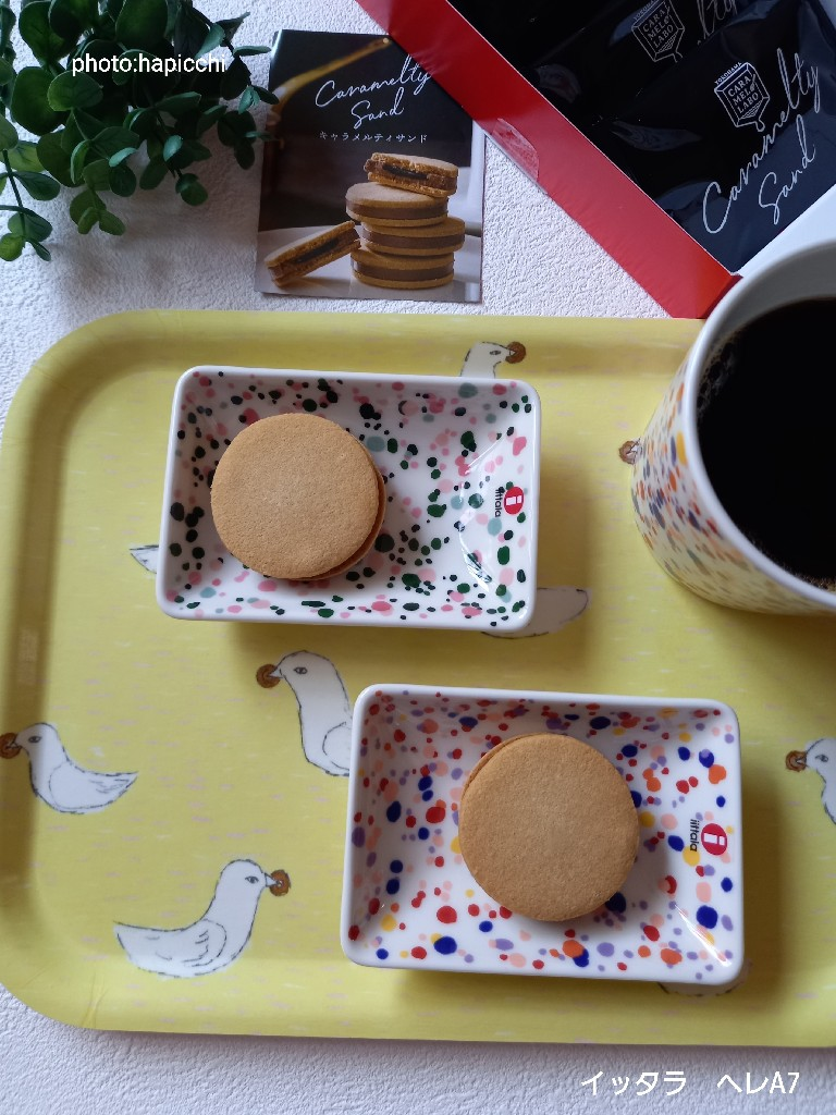 イッタラ / OTC ヘレ A7 プレート 7x10cm [ iittala Helle ]