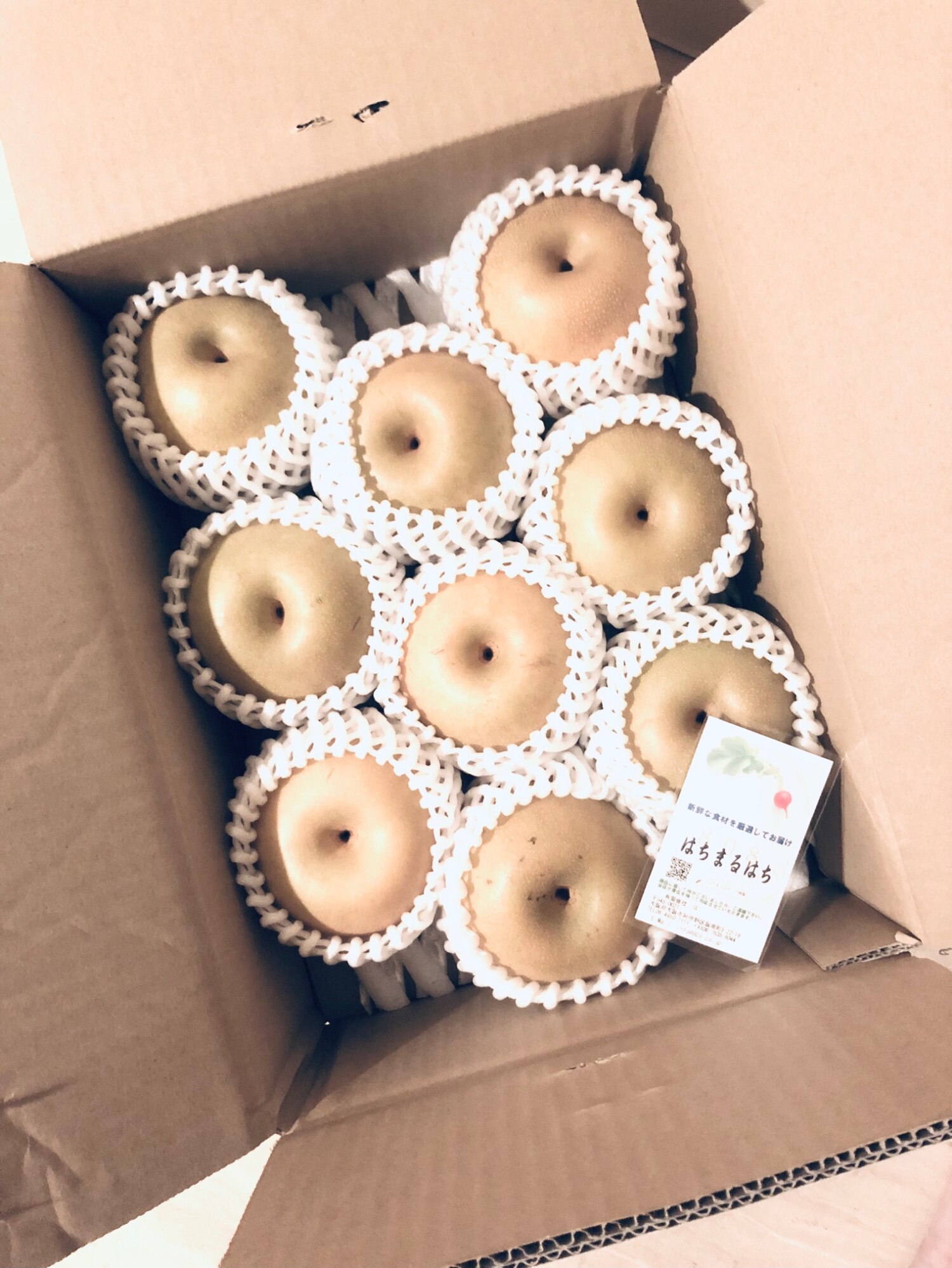 8月分予約 低農薬 新甘泉 梨 2.8〜9kg 大玉8〜28玉入 贈答用 3L 〜 4L 鳥取 産 しんかんせん 産地直送 ※ ふるさと納税 ではありません