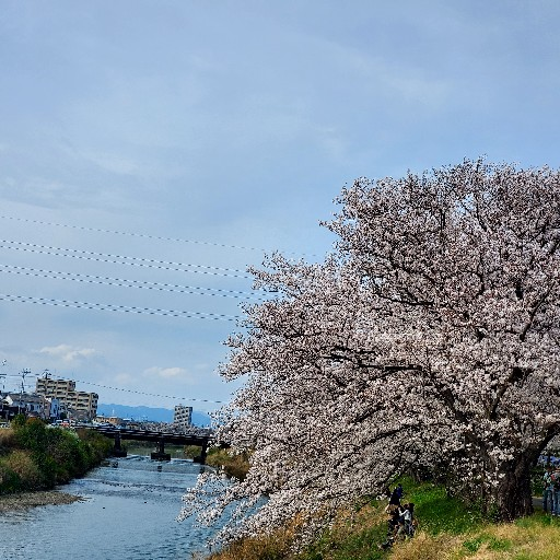 sin のROOM - 欲しい! に出会える。