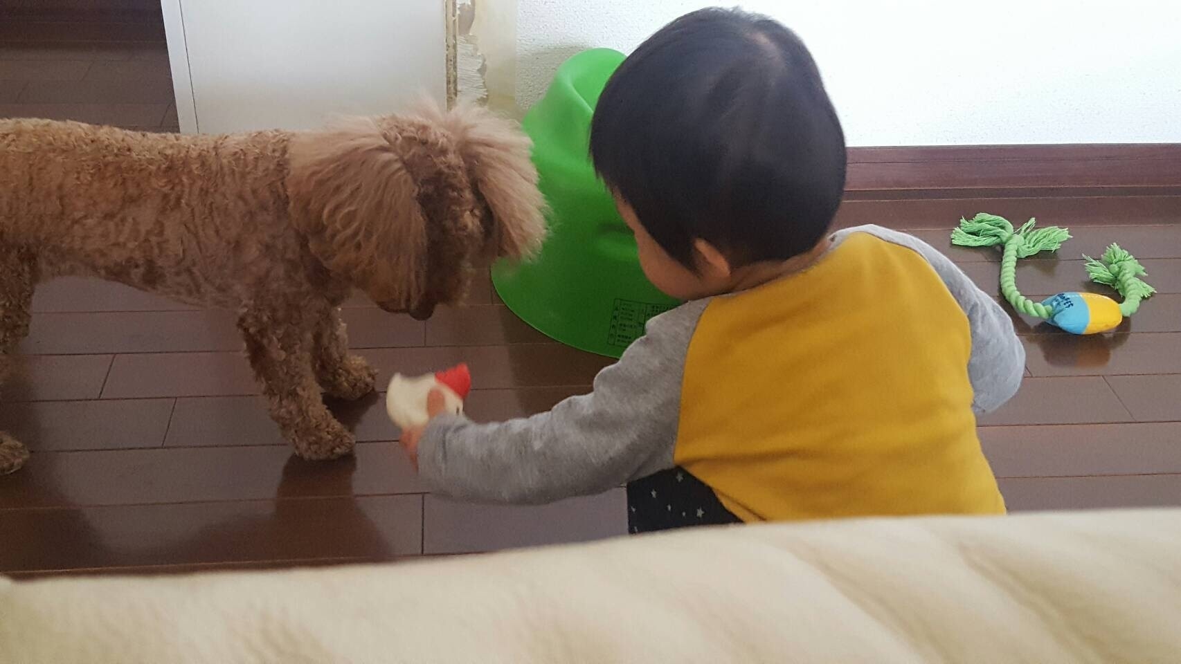 Kazumi * のROOM - 欲しい! に出会える。