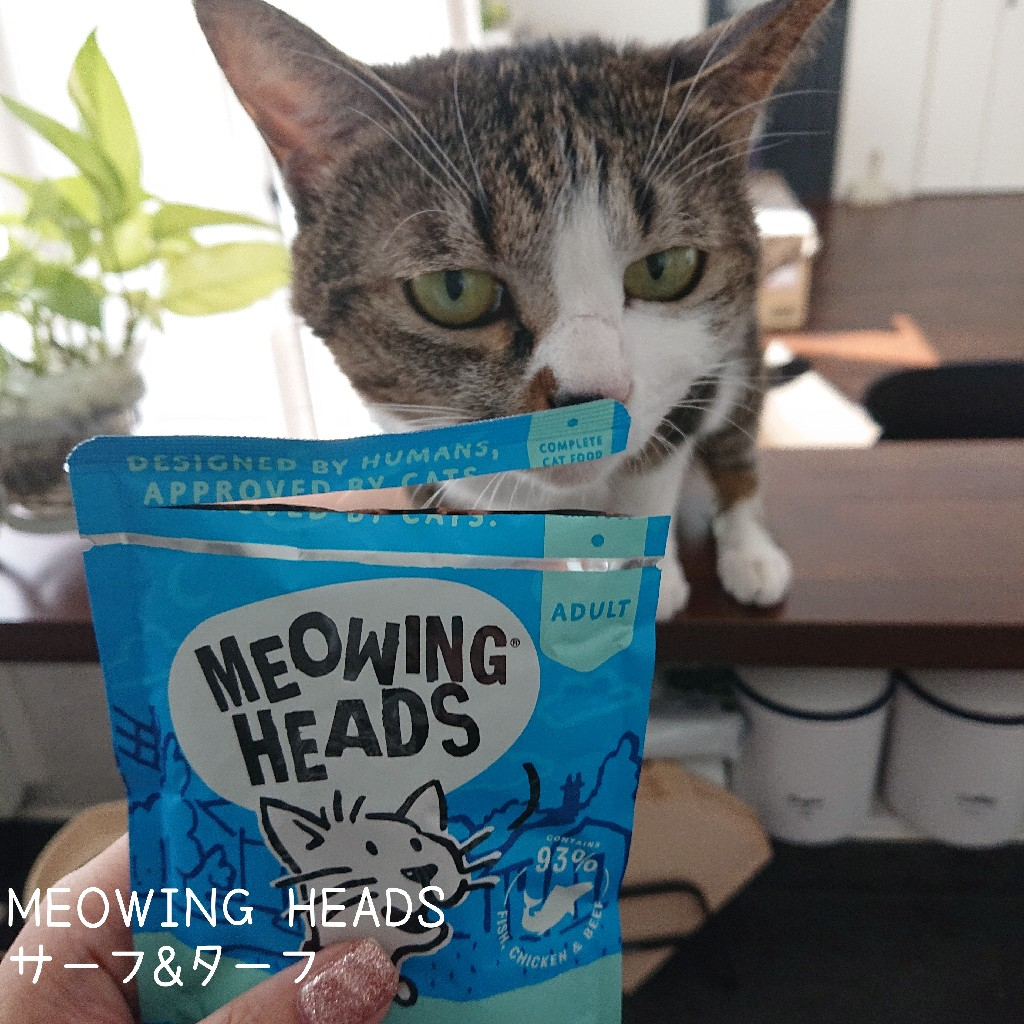 MEOWING HEADS ミャオイングヘッズ 93/7 サーフ＆ターフ ウェットキャットフード グレインフリー 猫 ウエット 成猫用 ...
