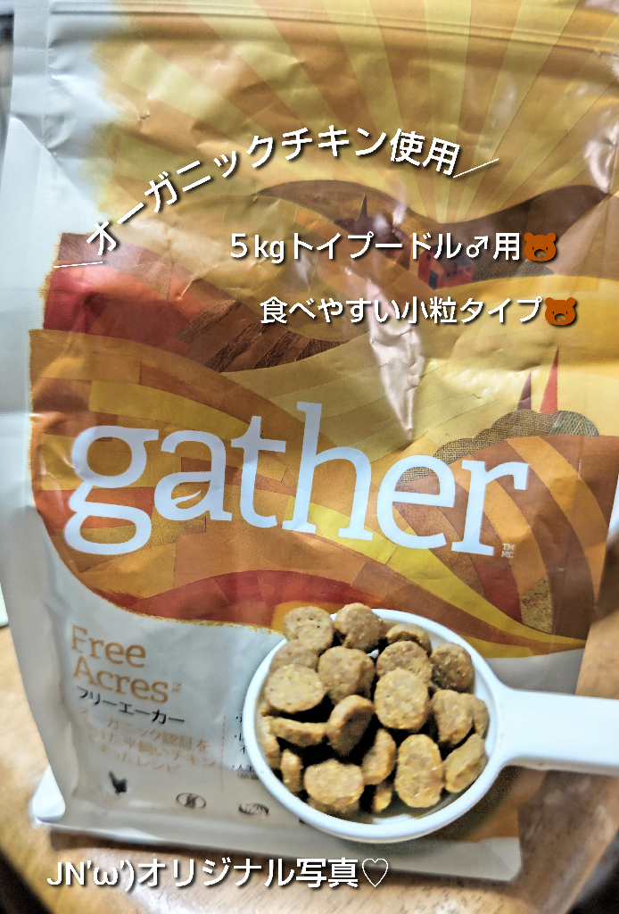 ドッグフード GATHER フリーエーカー 454g 成犬用 関東当日便