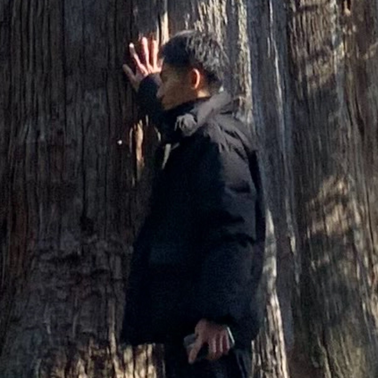 seiya のROOM - 欲しい! に出会える。