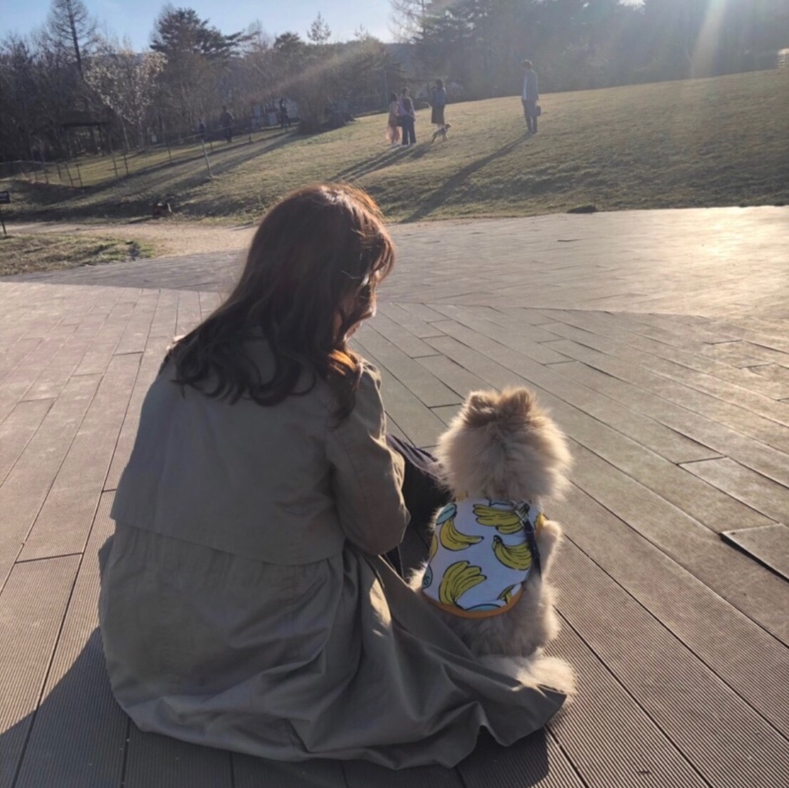 tomarin のROOM - 欲しい! に出会える。