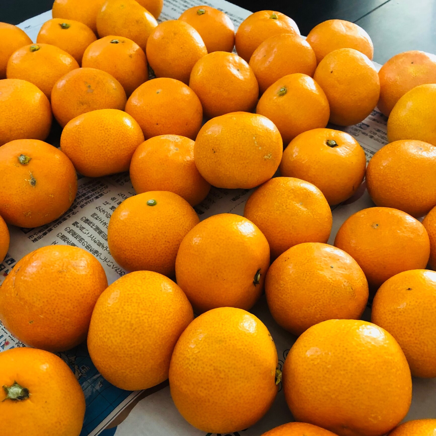 有田みかん 3kg ss (2s) 舌鼓 赤秀品 糖度センサー AQ 【 有田みかん ss 有田ミカン 蜜柑 ミカン みかん 小玉 有田みかん 3kg 小粒 有田 有田2s みかん 赤秀 糖度 ...