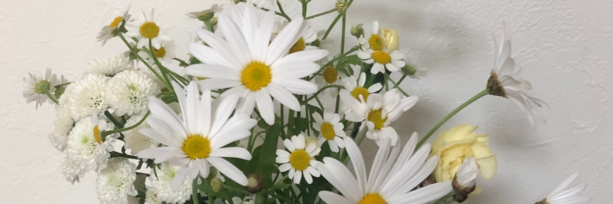 ayumomo のROOM - 欲しい! に出会える。