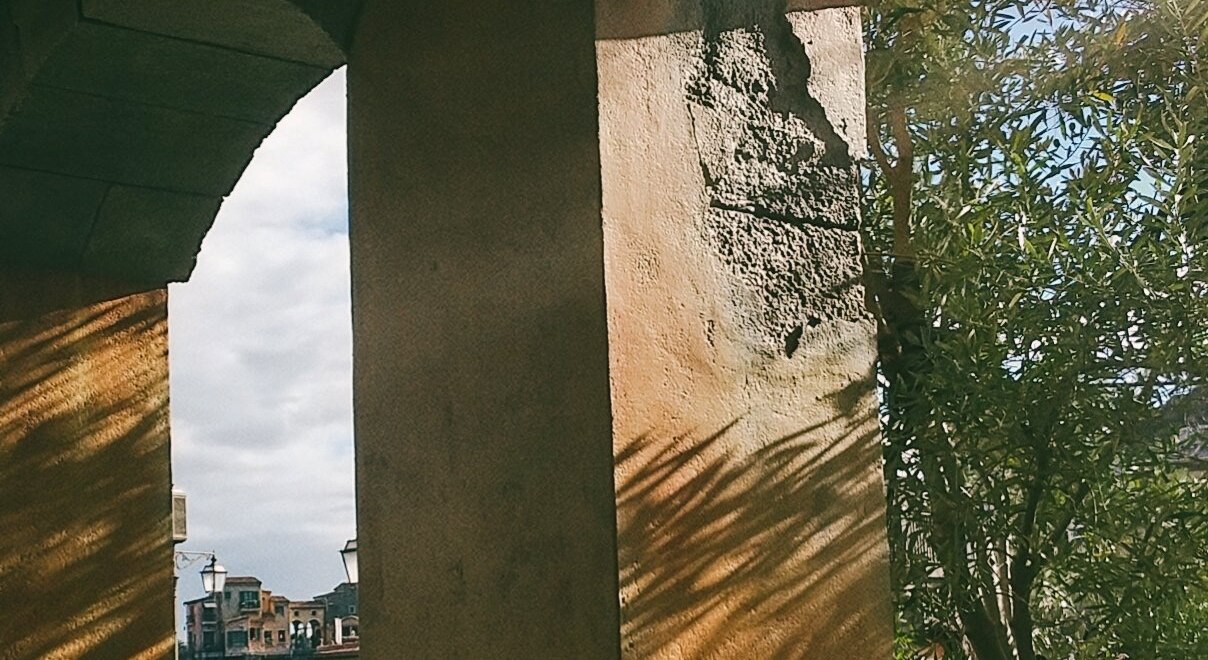 Risa のROOM - 欲しい! に出会える。