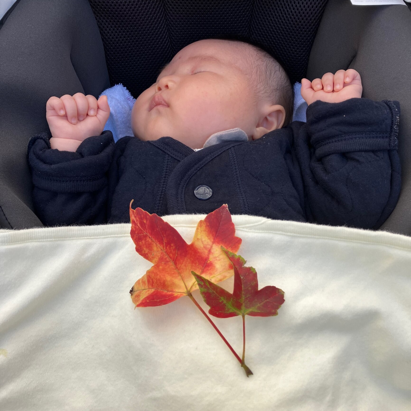 vanmi 素直な感想書いてます のROOM - 欲しい! に出会える。