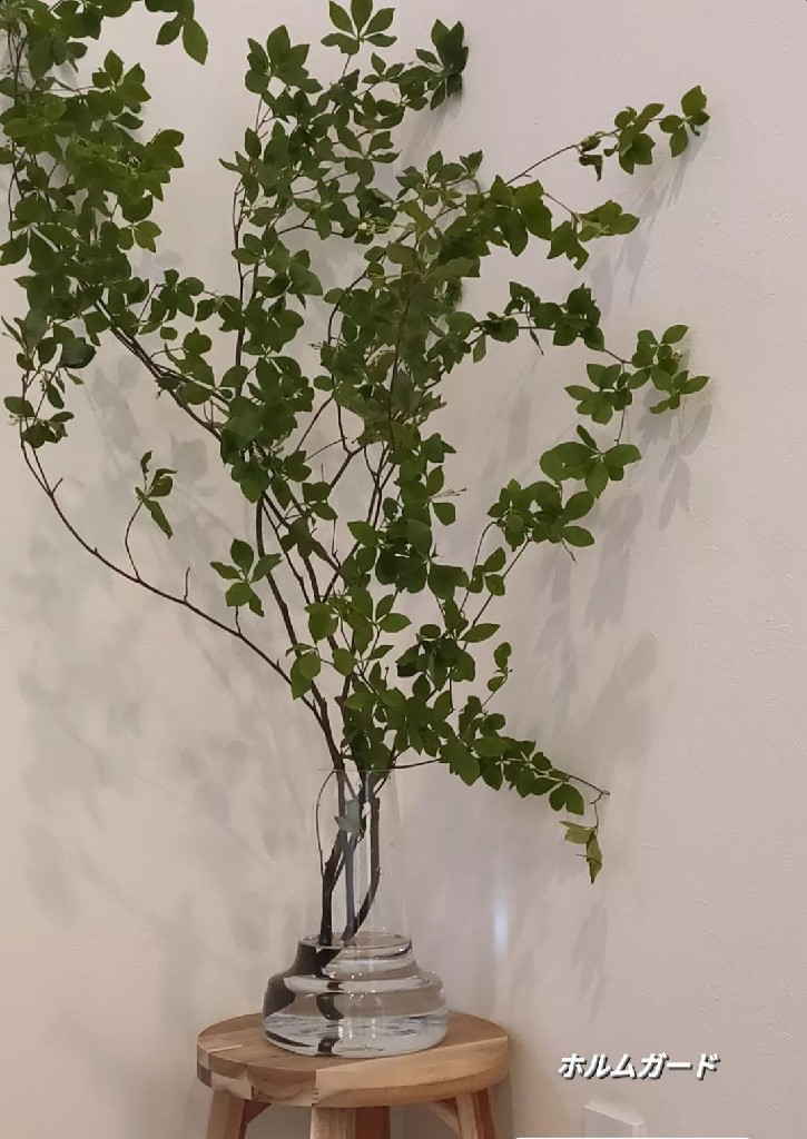 花瓶 ホルムガード フローラ ガラス フラワーベース おしゃれ 大きい一輪挿し 24cm 北欧 花器 枝物 H24 丸 シンプルデザイン ...