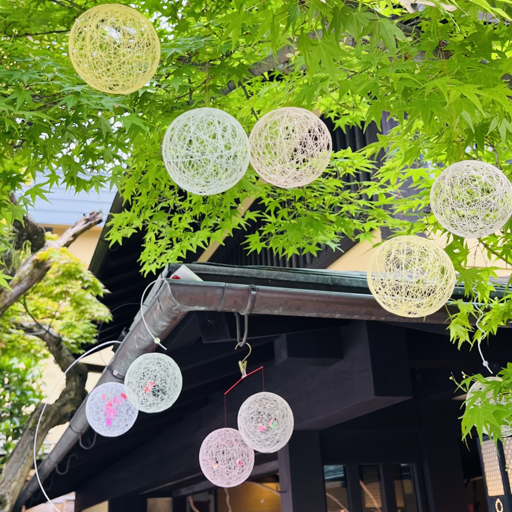 hhyu＠購入ありがとうございます😊 のROOM - 欲しい! に出会える。