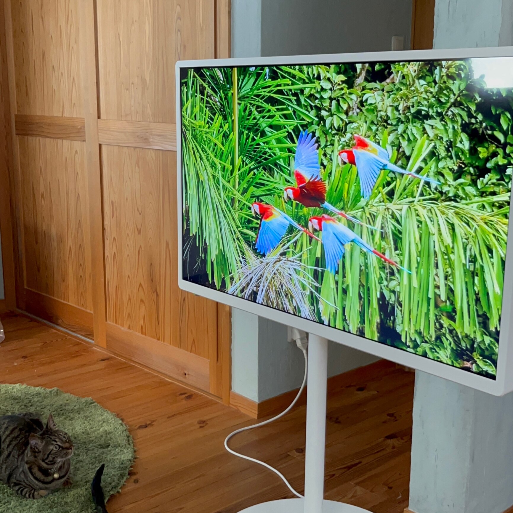 パナソニック 43V型 4K液晶 VIERA TH-43LF1L レイアウトフリー パナソニック 43V型 4K液晶 VIERA TH-43LF1L レイアウトフリー