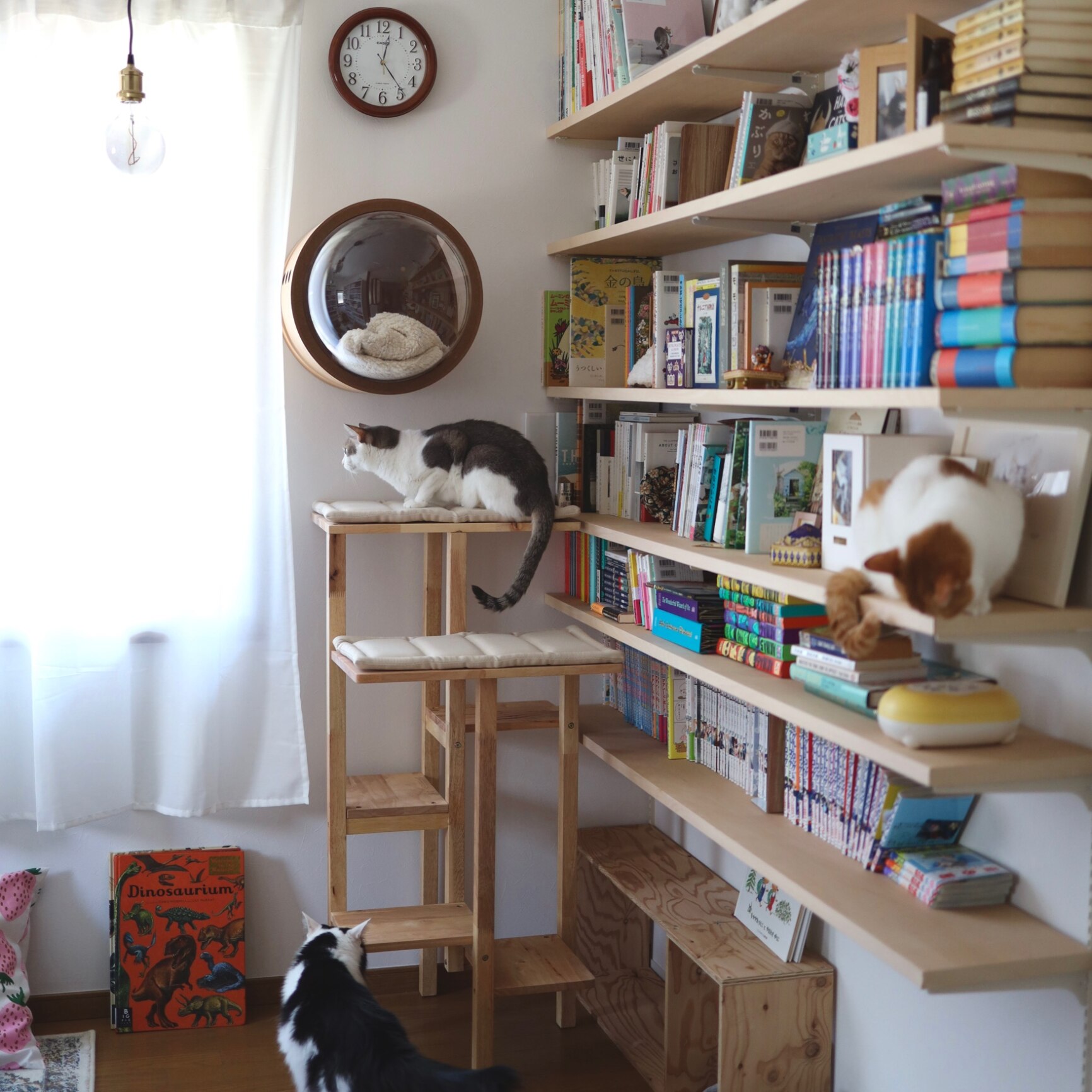 【レビュー特典あり】 キャットタワー NATURAL SIGNATURE ナチュラルシグネチャー Cut-hus キャトハス キャットタワー 【メッセージカード対応】 猫 おしゃれ 木製 北欧 ...